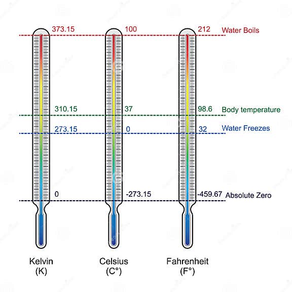 Comparison of Three Temperature Scales Vector Stock Vector ...