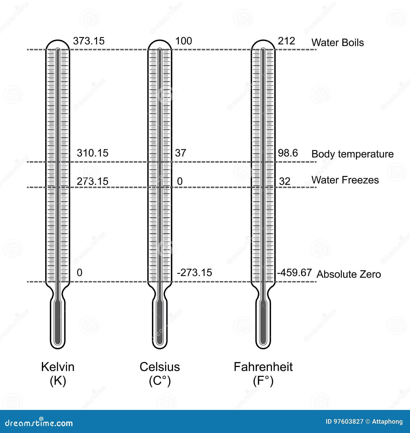 Comparison of Three Temperature Scales Vector Stock Vector ...