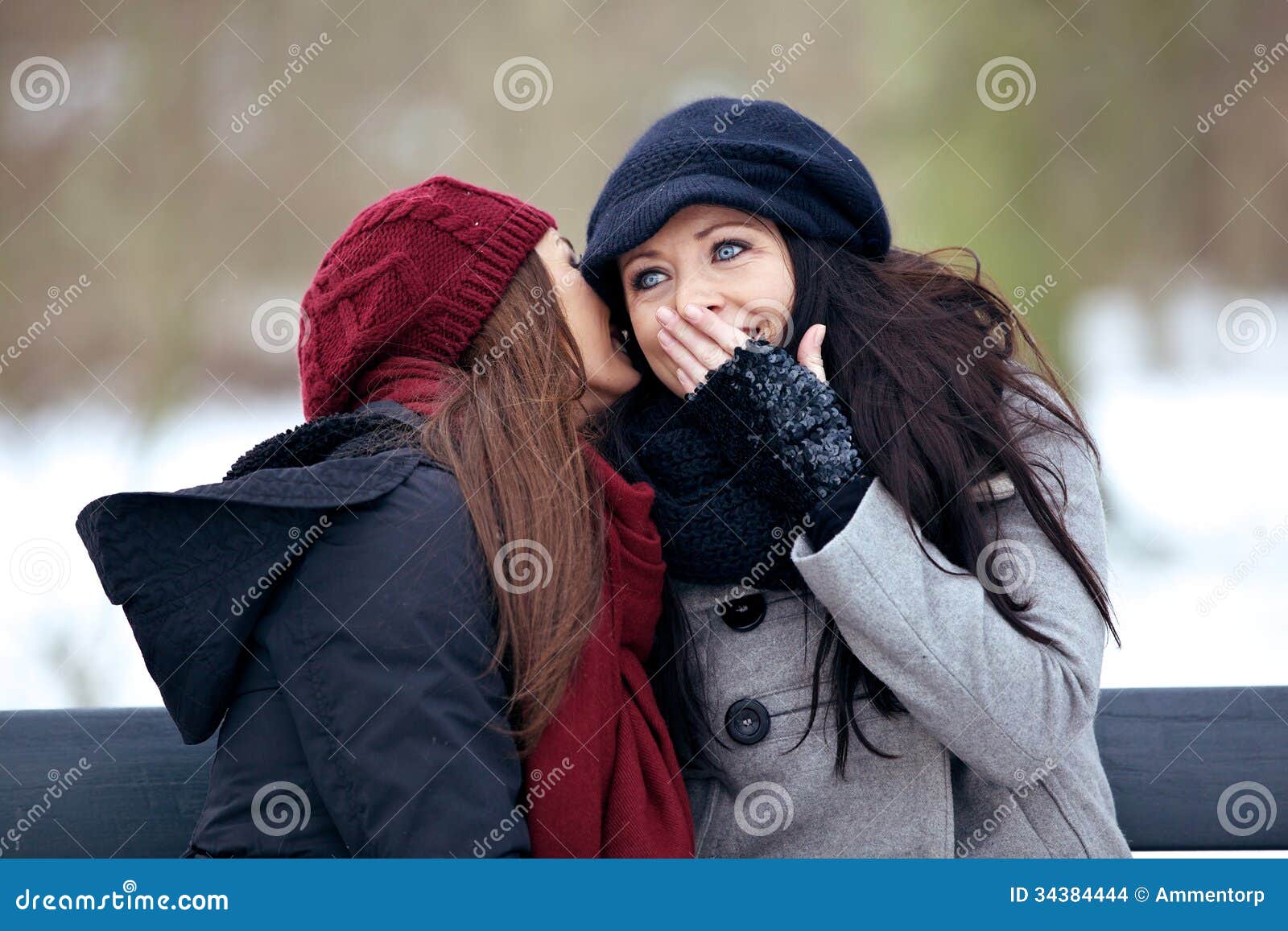 Compartilhando De Um Segredo a Meu Bestfriend Foto de Stock - Imagem de ...