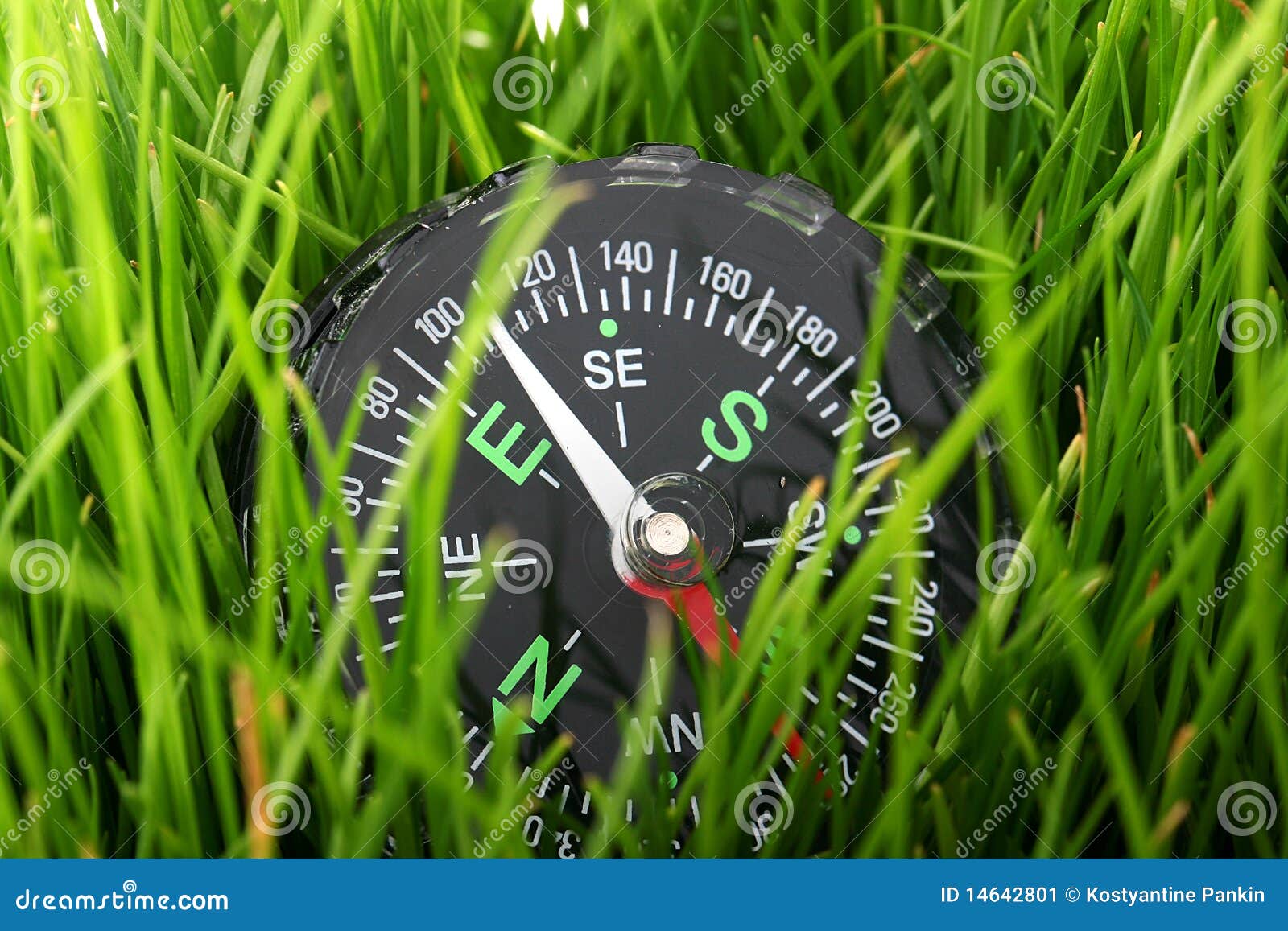 Compass stock image. Image of travel, search, glade, south - 14642801