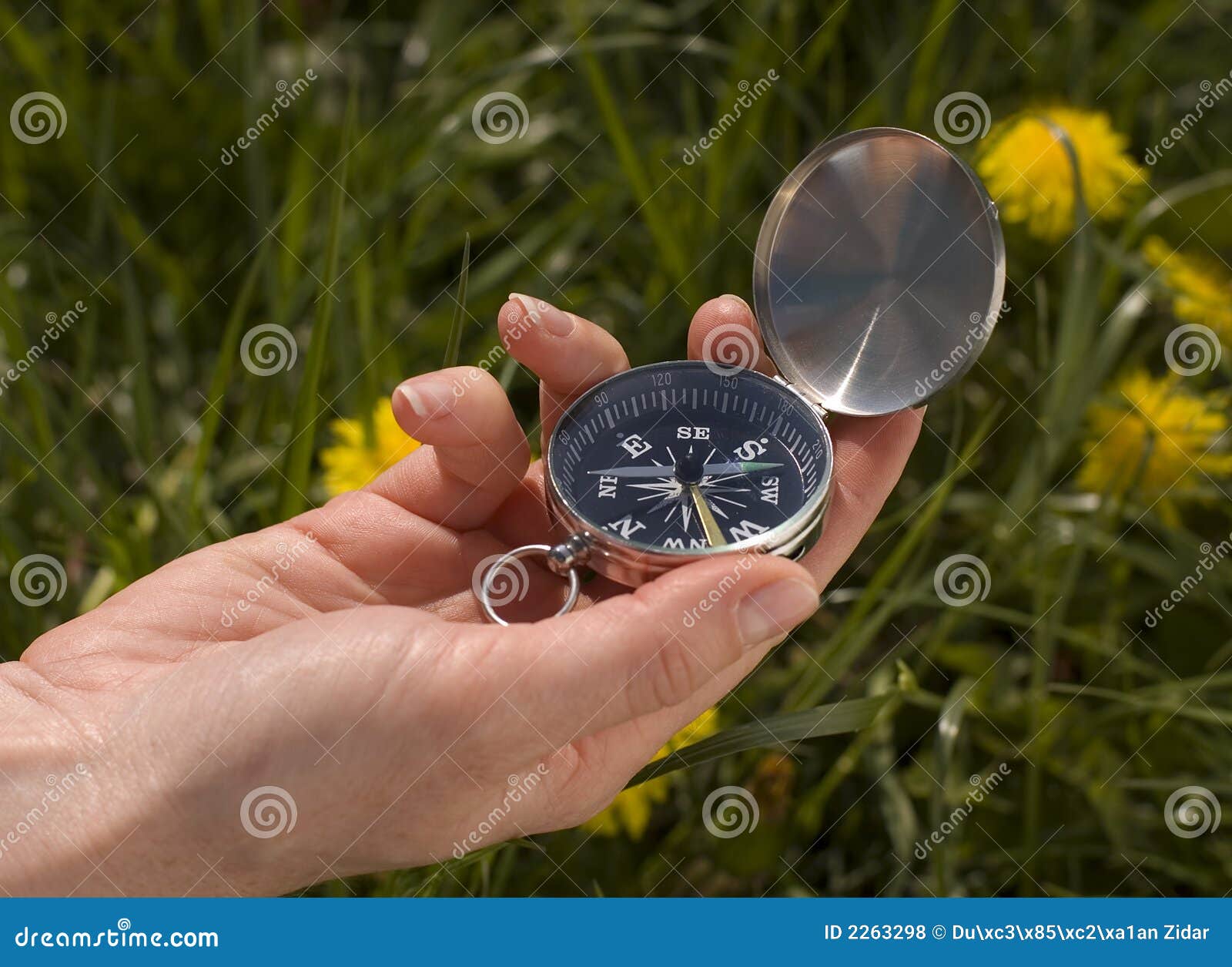 Compass stock photo. Image of north, navigate, compass - 2263298