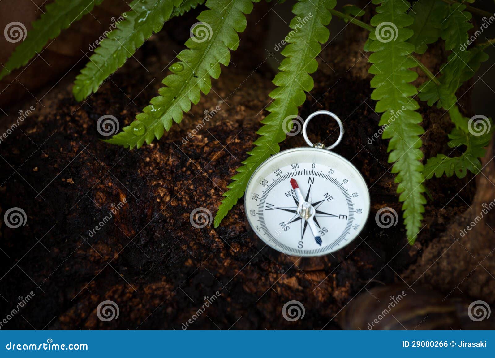 123 Environmental Compass Stock Photos - Free & Royalty-Free Stock ...