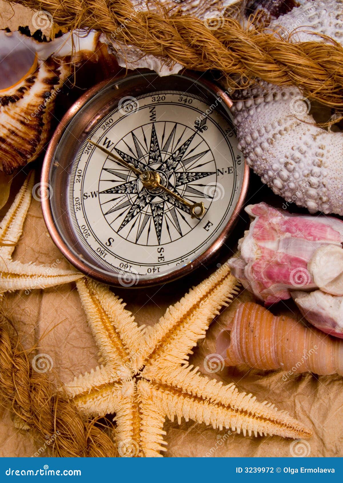 Compass stock photo. Image of degree, ancient, africa - 3239972