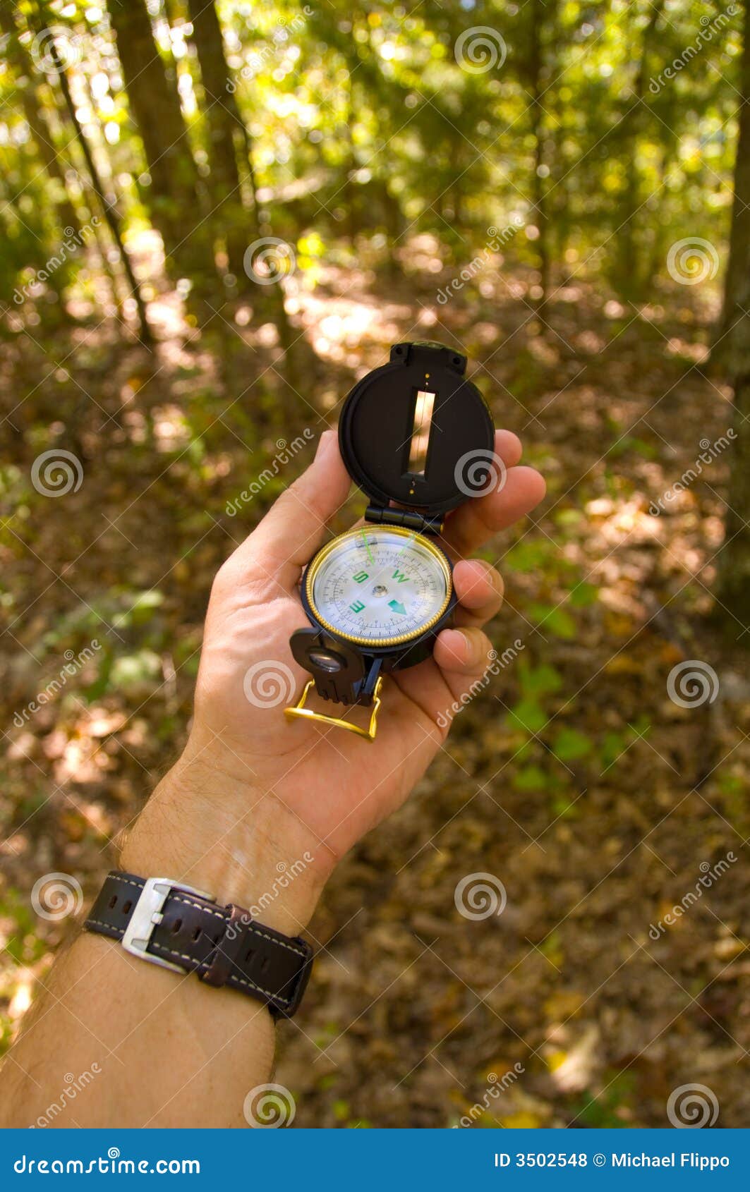 Compass stock photo. Image of lost, directions, direction - 3502548