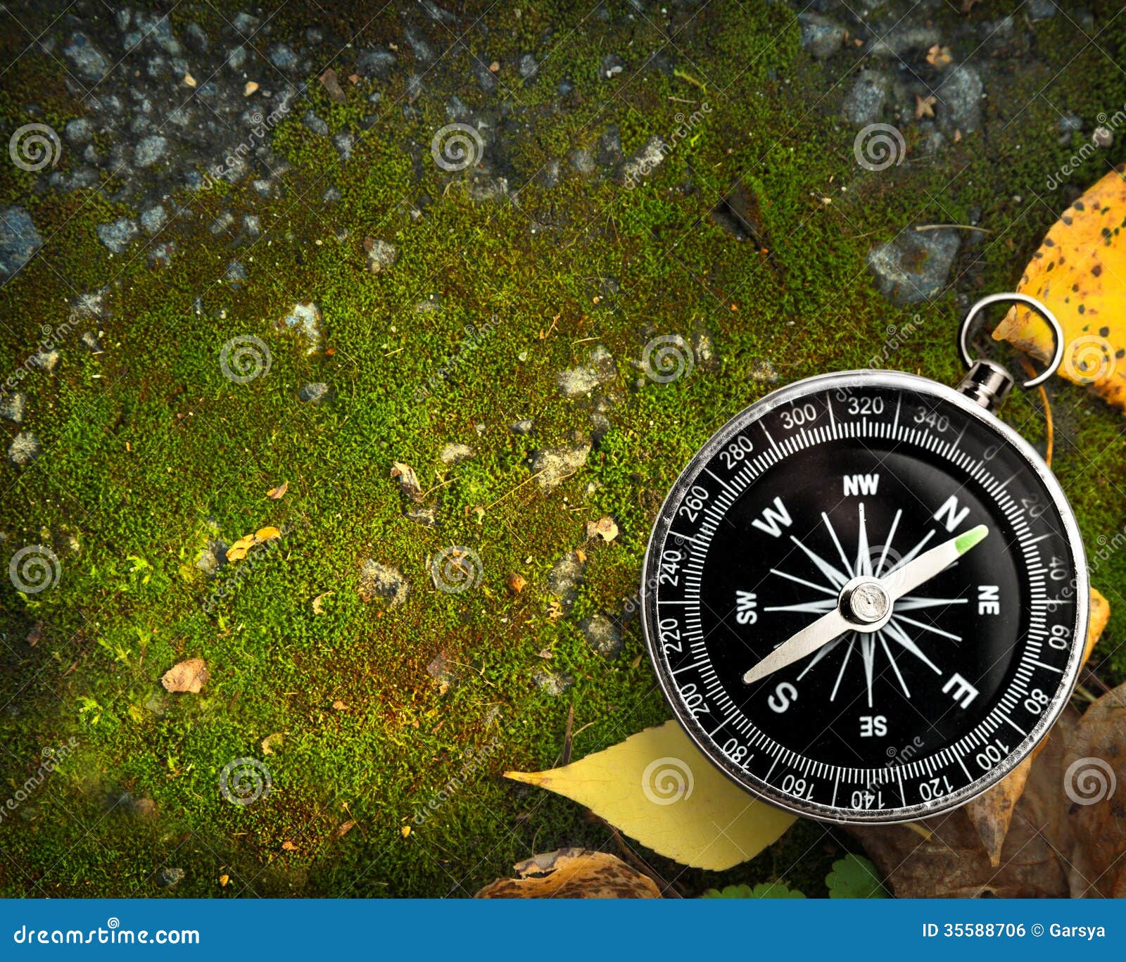 Compass on autumn foliage stock photo. Image of compass - 35588706