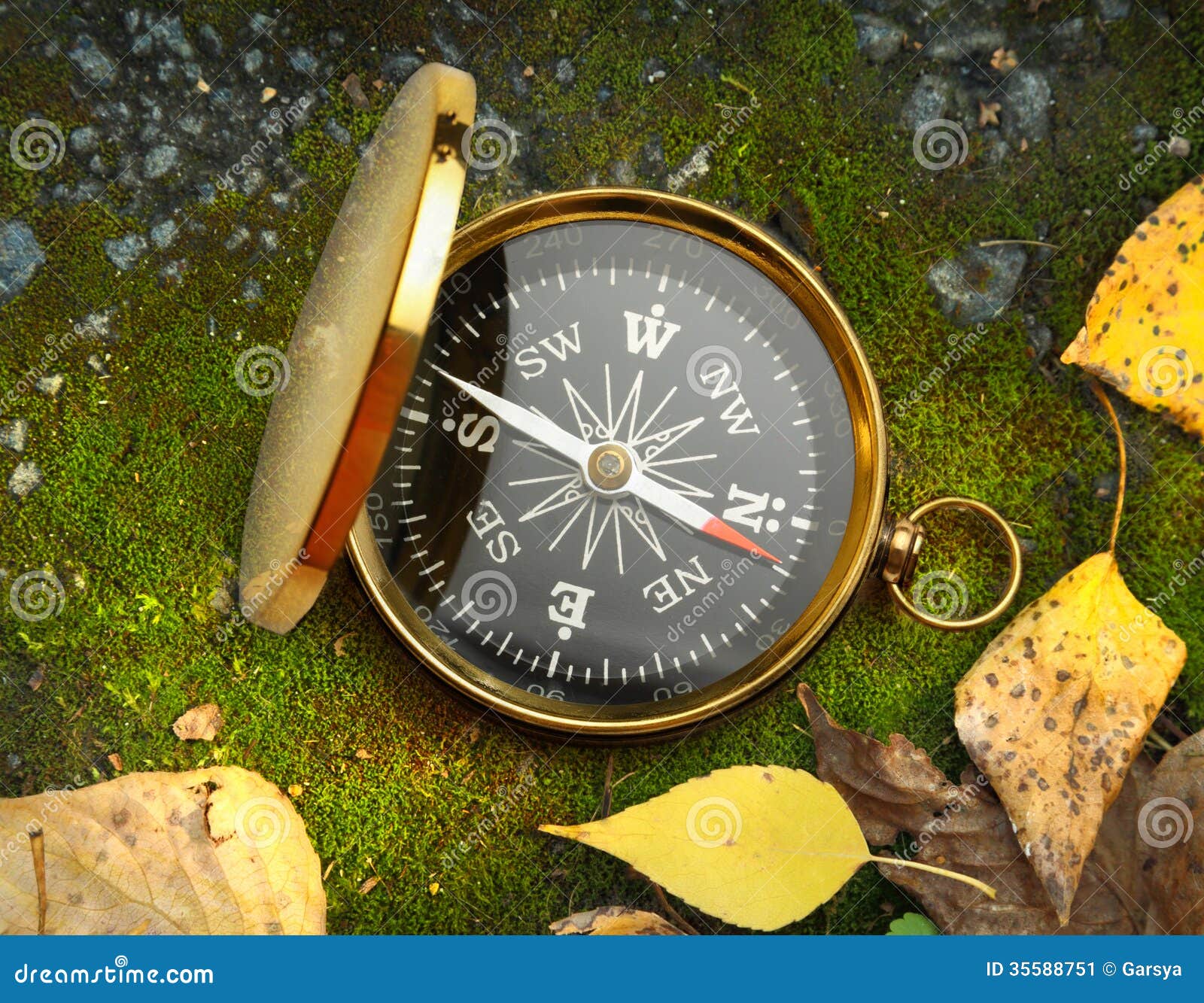 Compass on autumn foliage stock image. Image of fall - 35588751
