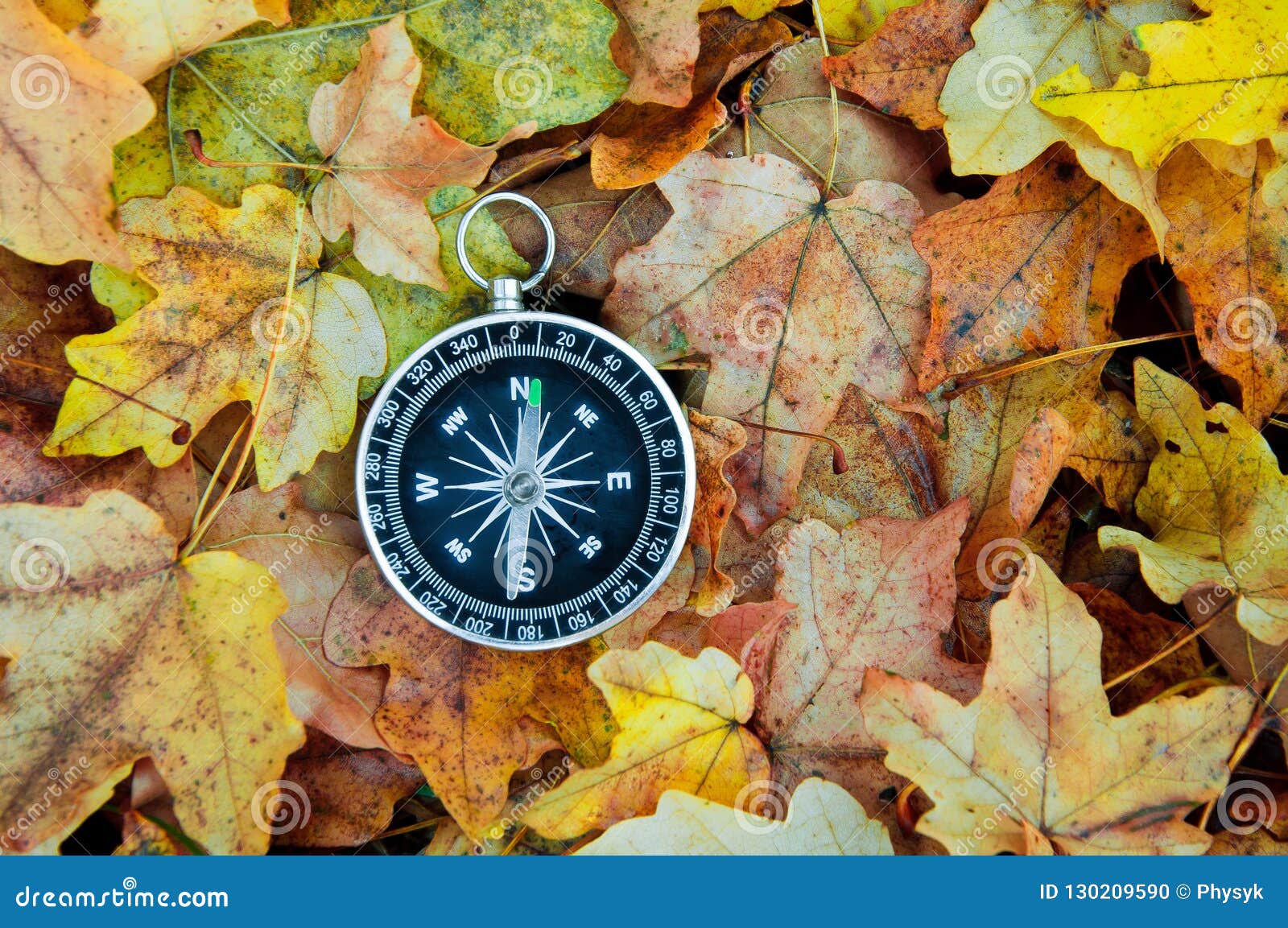 Compass on the Background of Fallen Autumn Leaves Stock Photo - Image ...