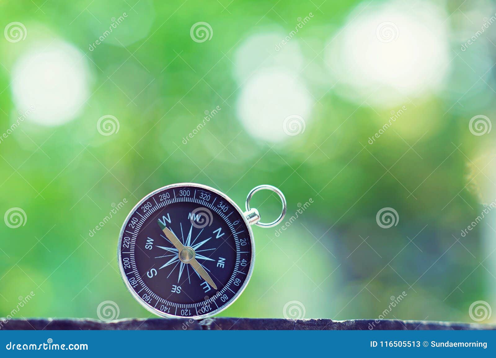 Compass with Blur Green Background, Journey Planning Concept Stock ...