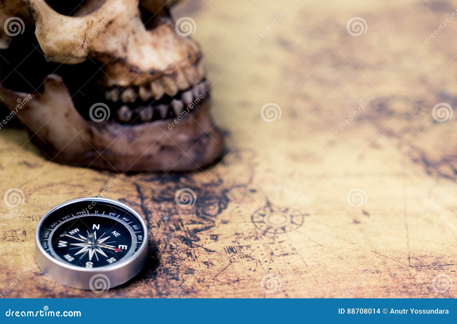 Compass and Dead Skull on Vintage Map for Treasure Hunter Concept Stock ...