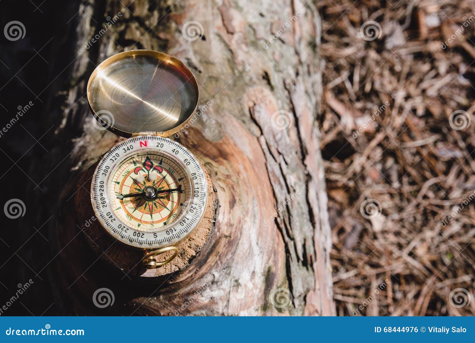 Compass stock photo. Image of direction, nature, north - 68444976