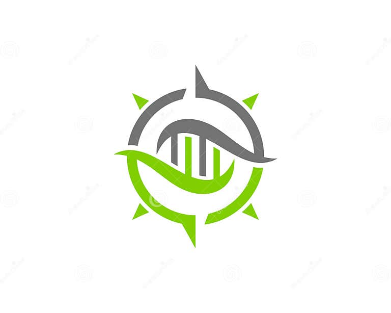 Compass Dna Logo Icon Design Stock Vector - Illustration of medicine ...