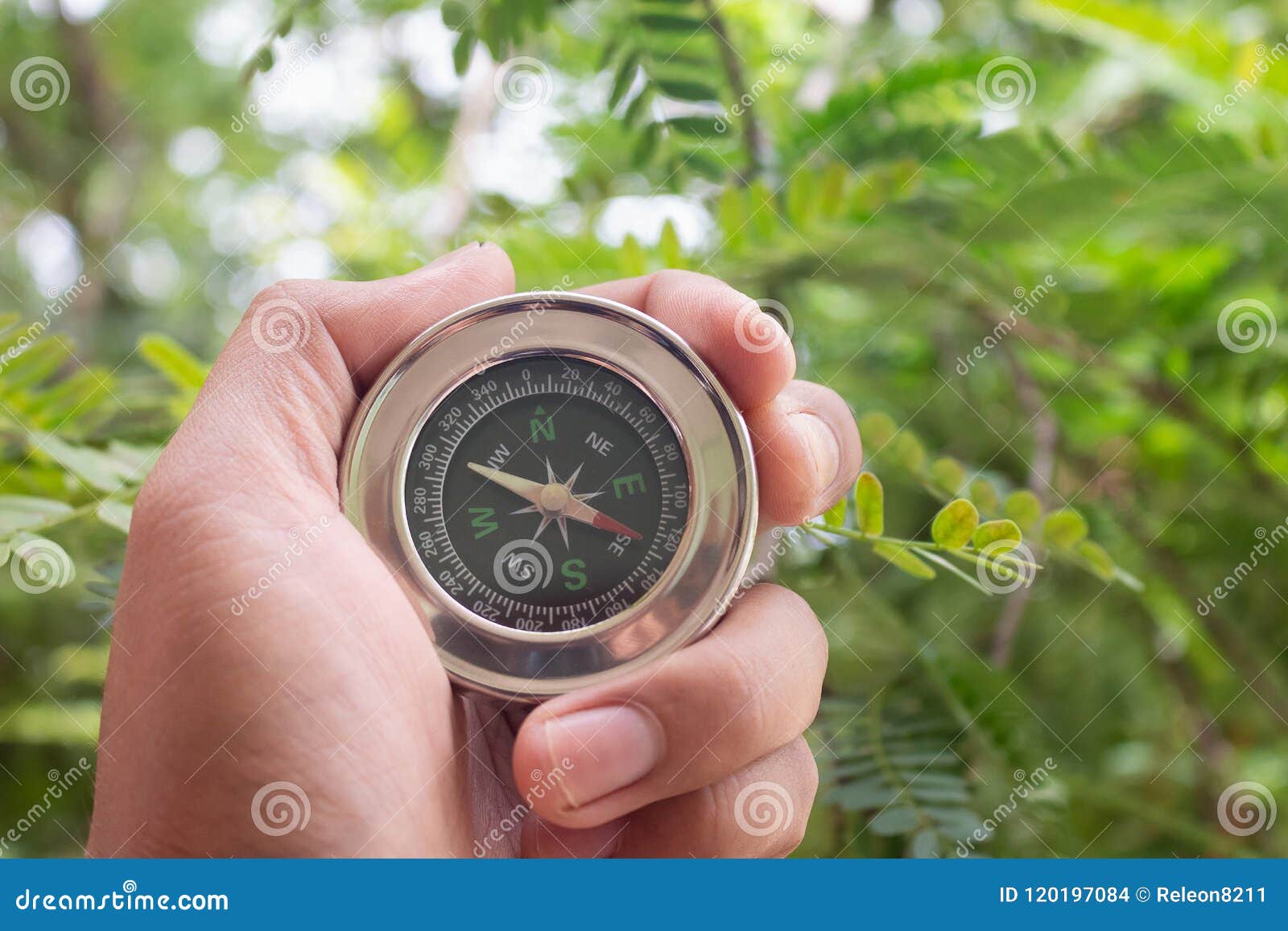 Compass in the forest. stock photo. Image of concept - 120197084