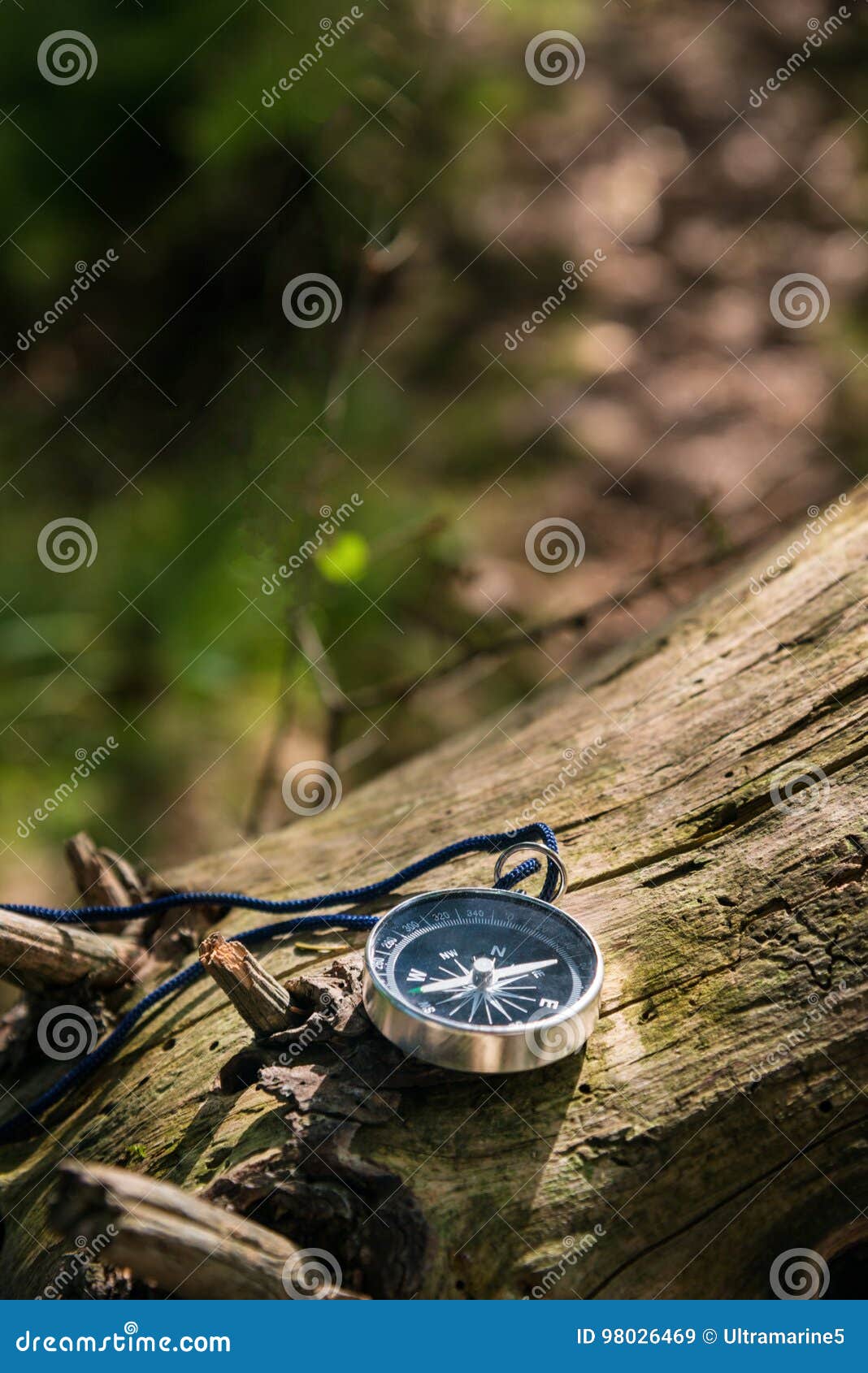 Compass in the forest stock image. Image of mountain - 98026469