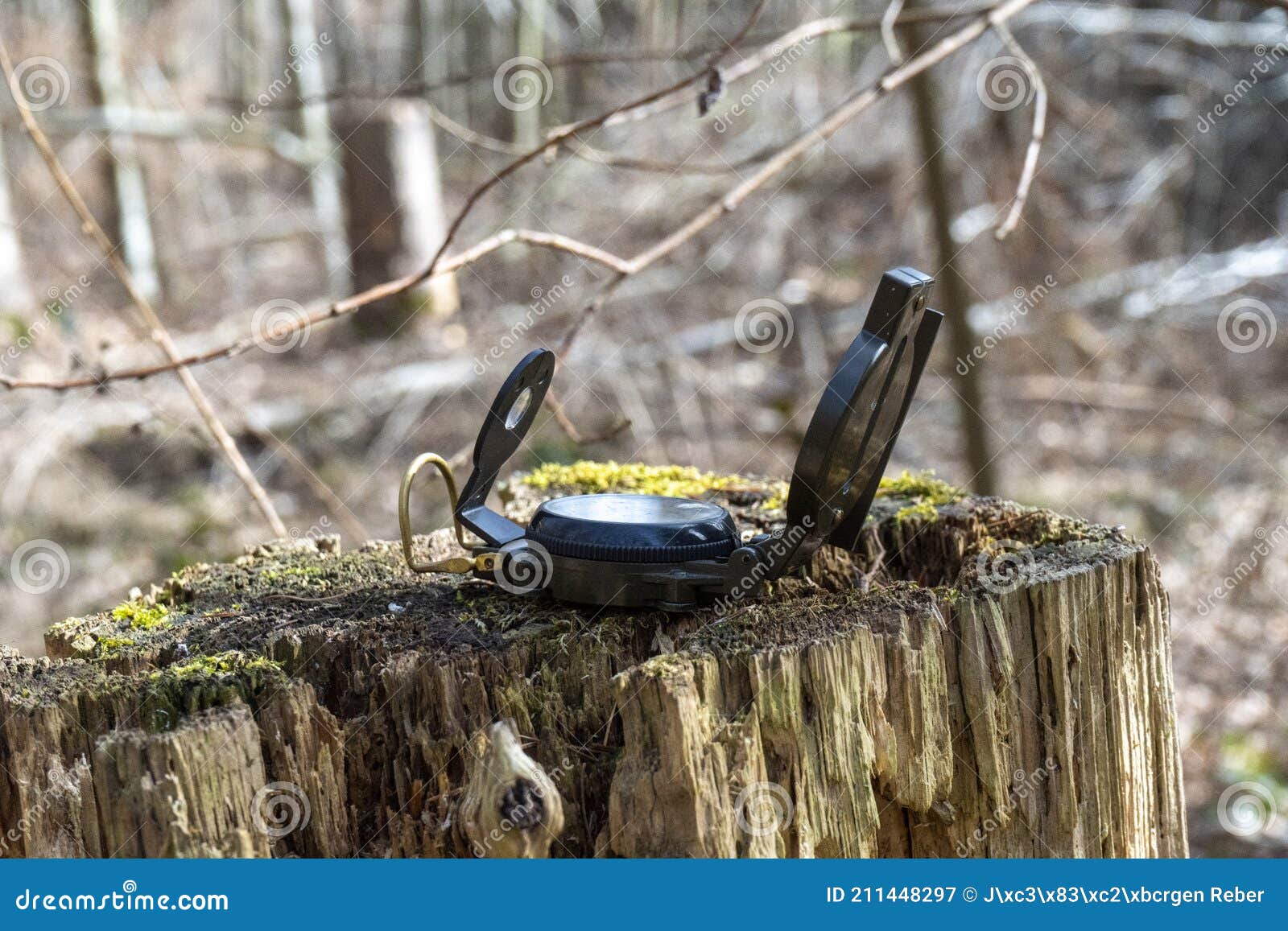Compass in the Forest on a Stump in the Sunlight Stock Image - Image of ...