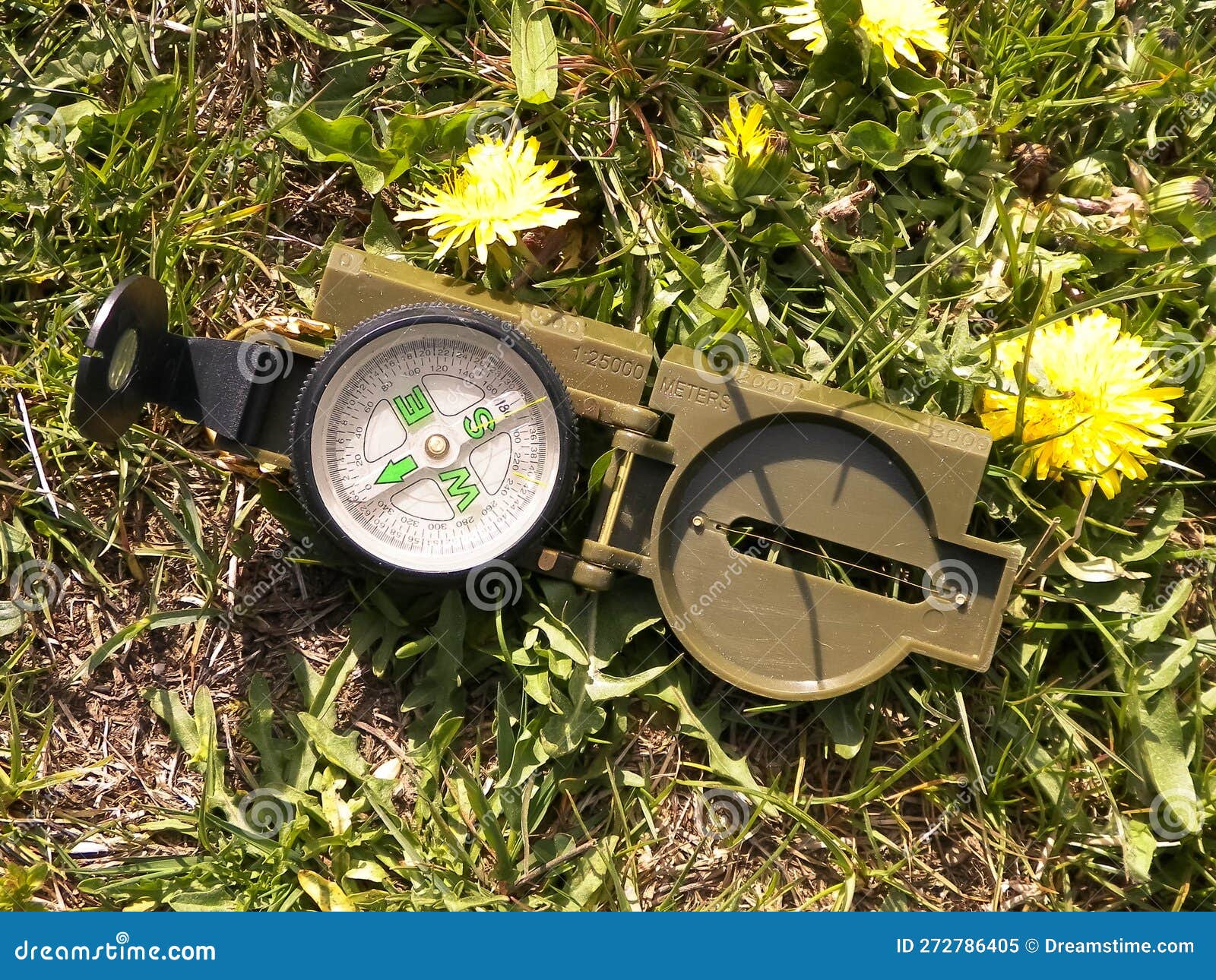 Compass on Grass - Traveling, Exploration and Navigation Stock Image ...