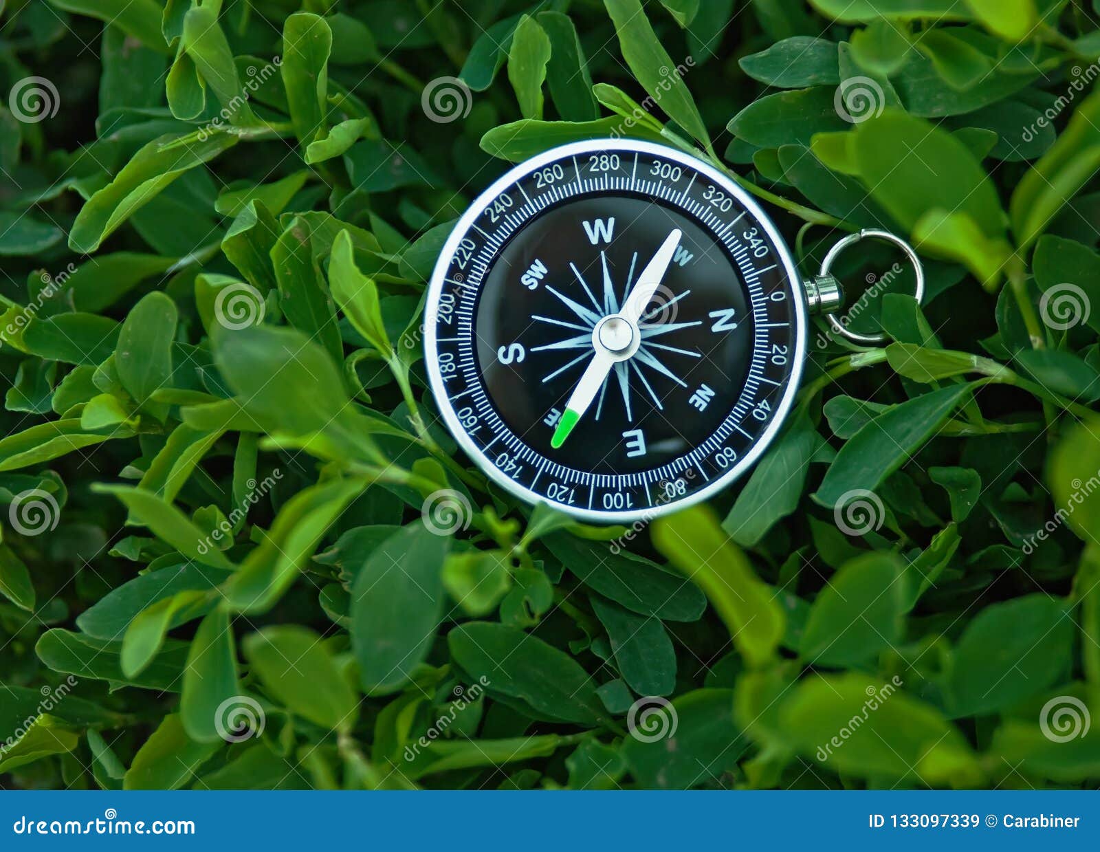 Compass on green grass stock image. Image of travel - 133097339