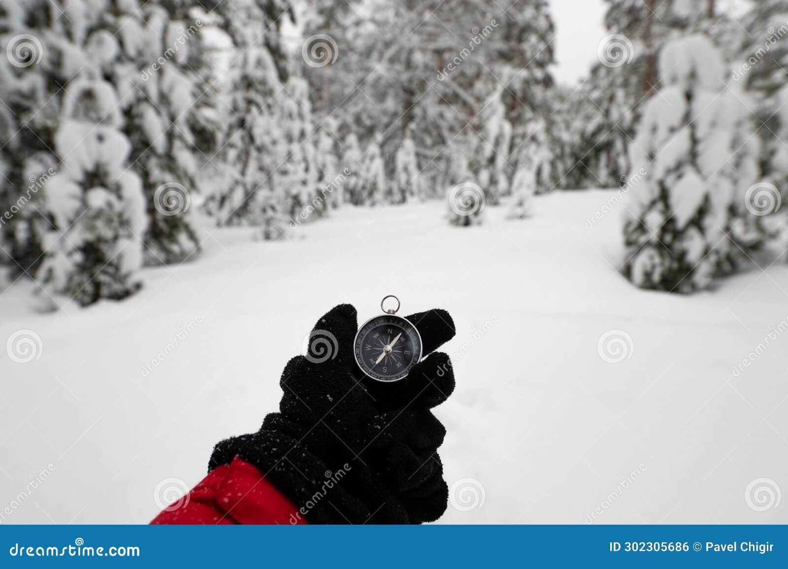 Compass in Hand in the Winter Forest Christmas Trees in the Snow Stock ...