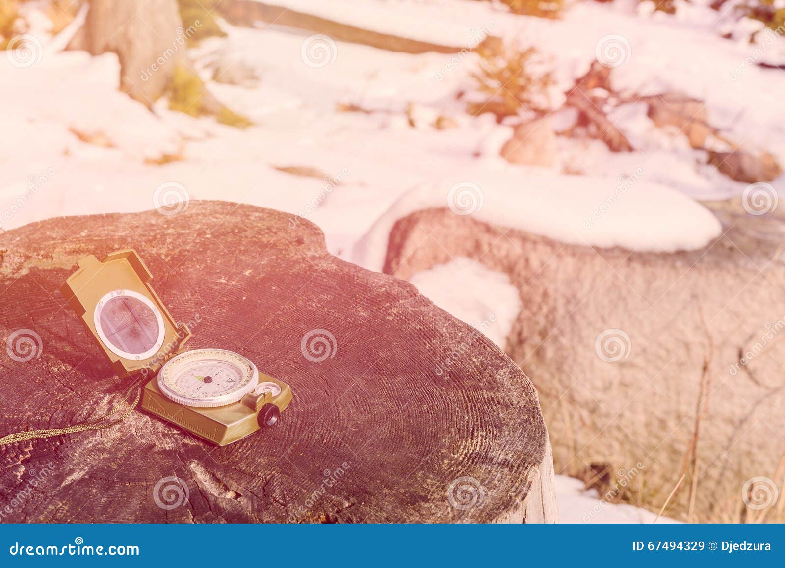 Compass Instrument on Tree Trunk. Stock Image - Image of outdoor ...
