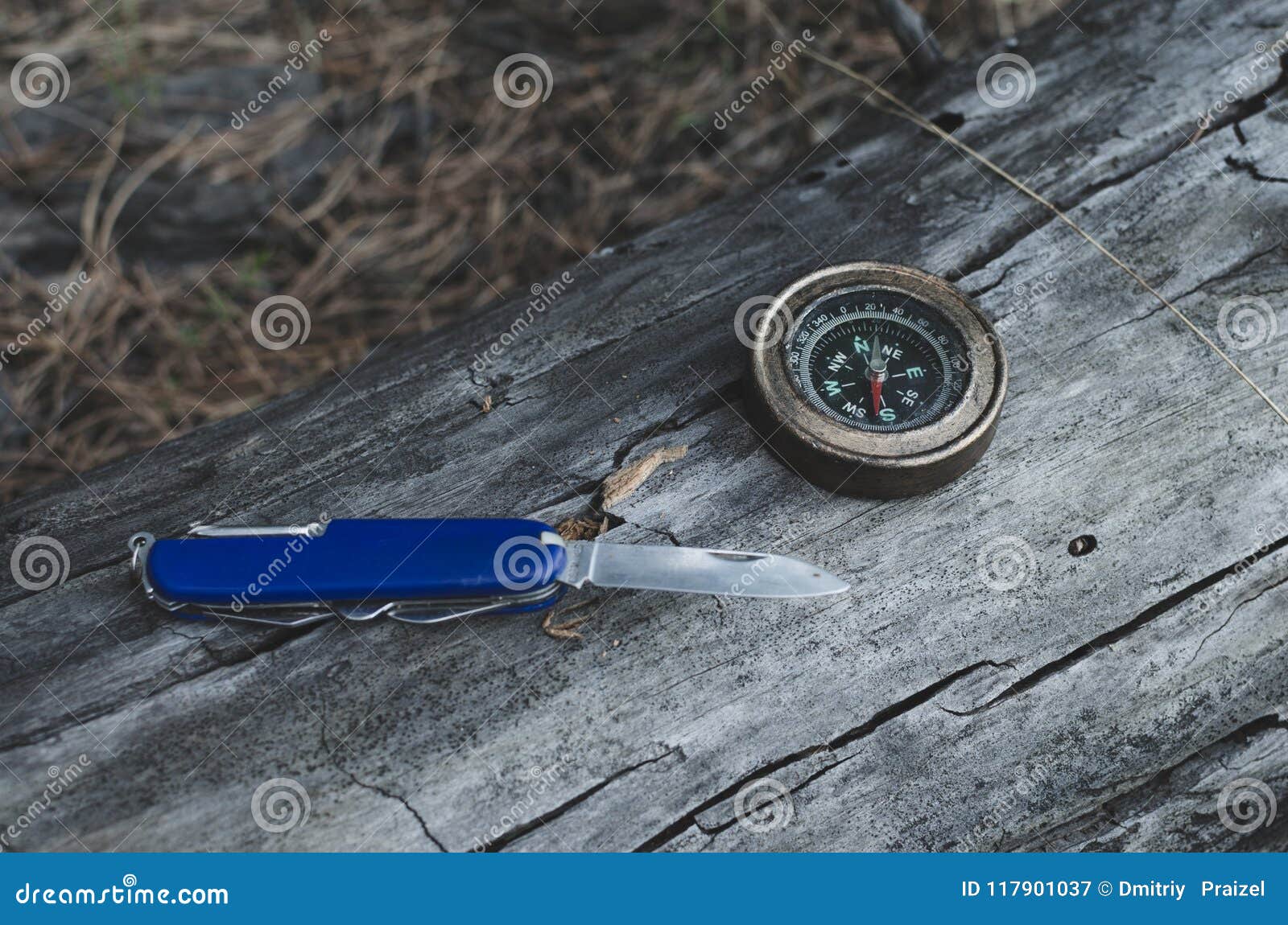 Compass and Knife for Survival in Forest on Log. Stock Image - Image of ...