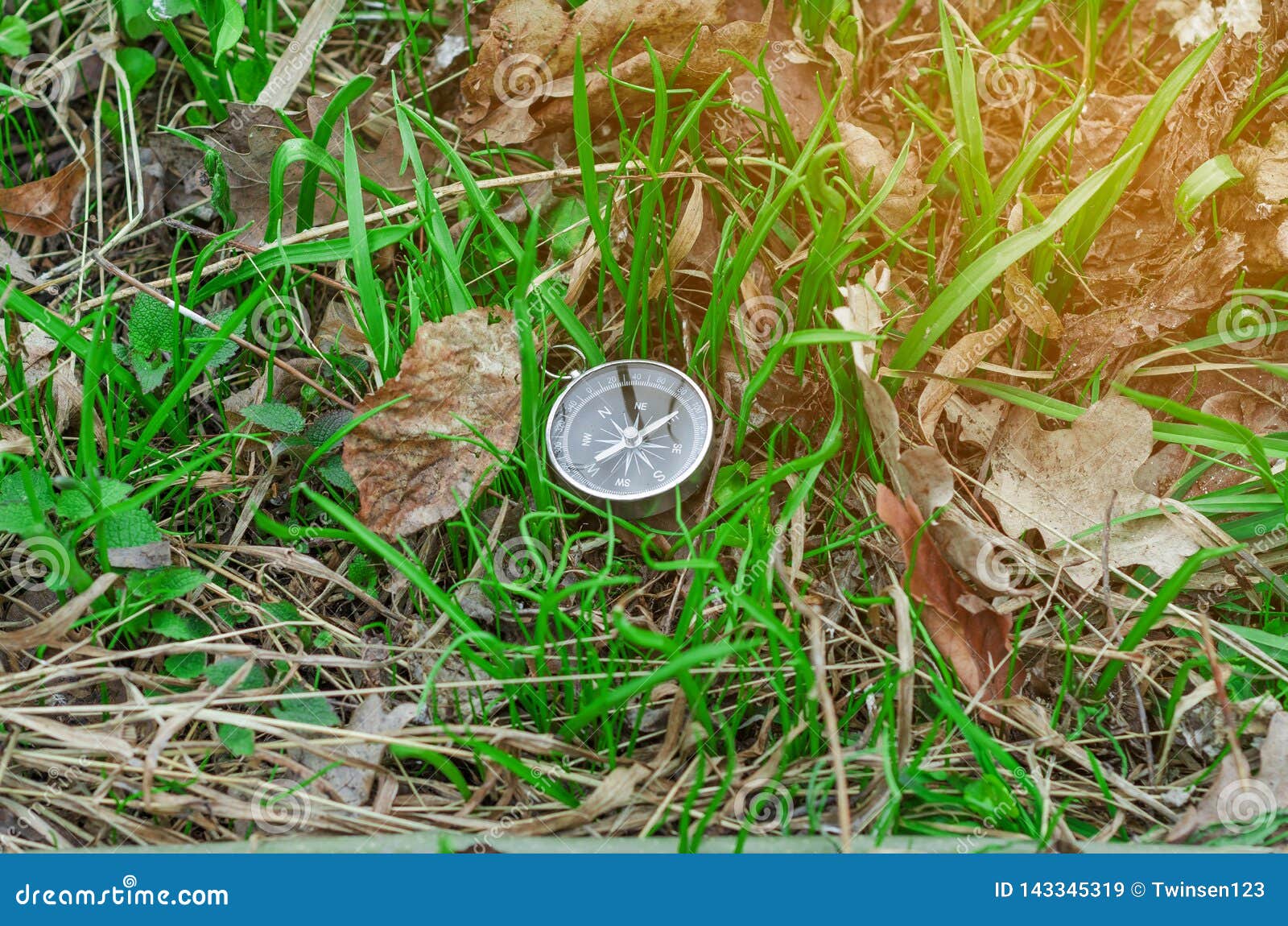 Compass Lies on the Ground in the Grass. Specifying the Direction of ...