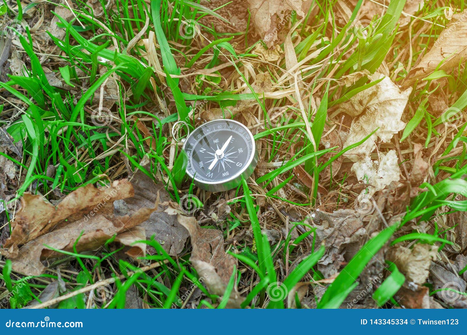 Compass Lies on the Ground in the Grass. Specifying the Direction of ...