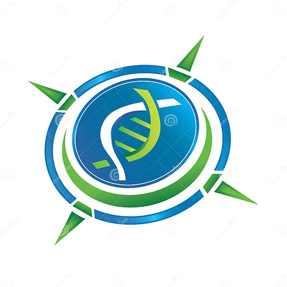 Compass Logo stock vector. Illustration of structure - 19292599