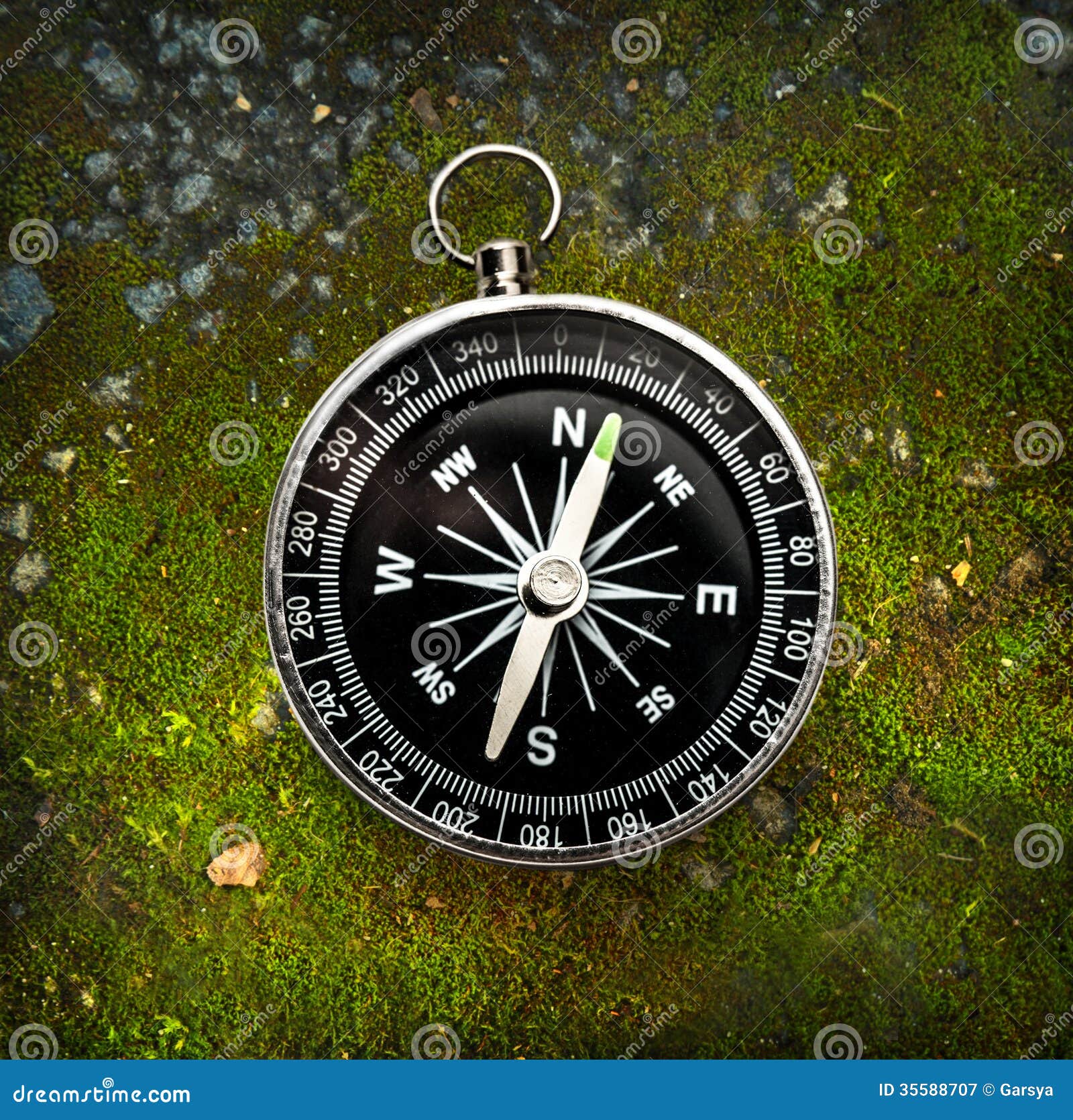 Moss Ground Normal Map Texture, Bump Map Texture Stock Photo ...