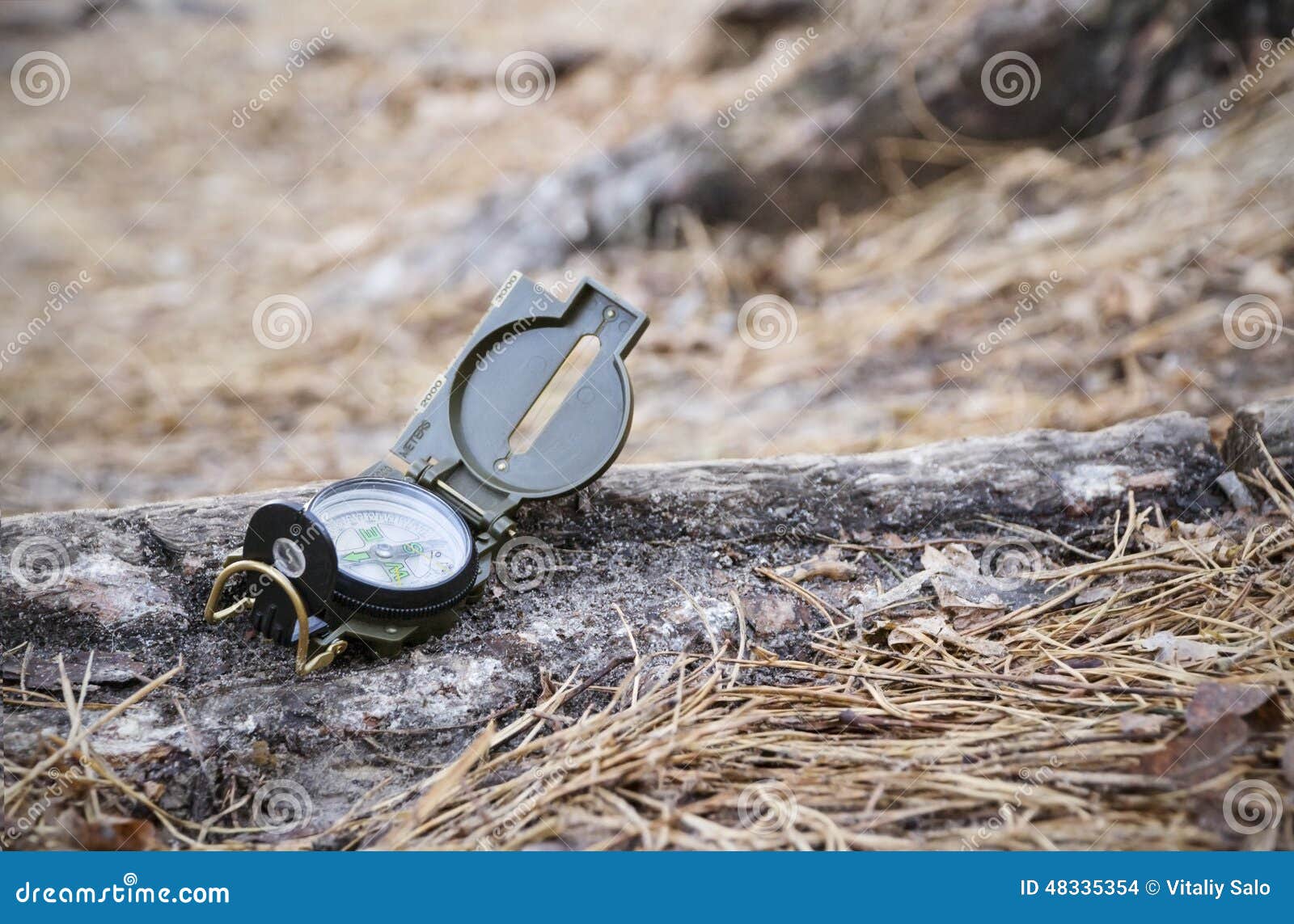Compass stock photo. Image of side, forest, sports, mountains - 48335354