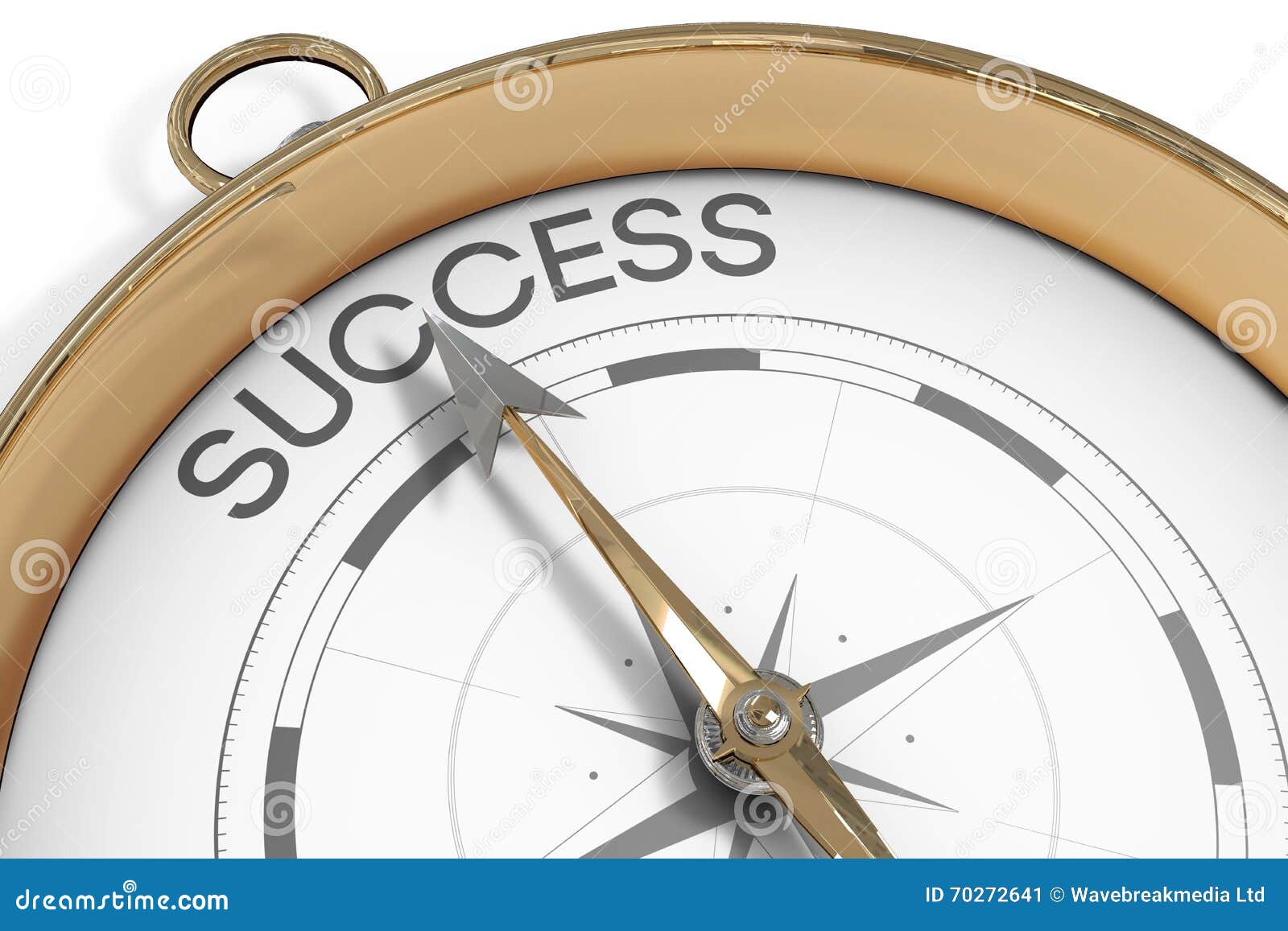Compass Pointing To Success Stock Illustration - Illustration of ...