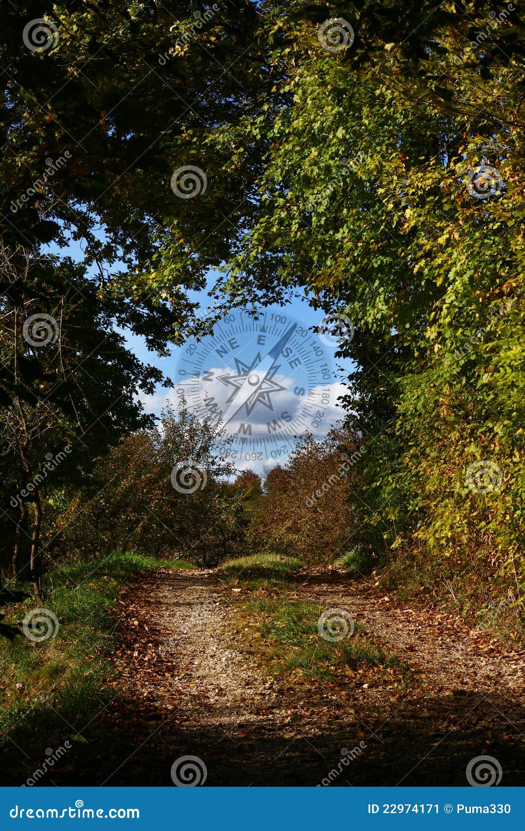 Compass and the Road in the Forest Stock Image - Image of north ...