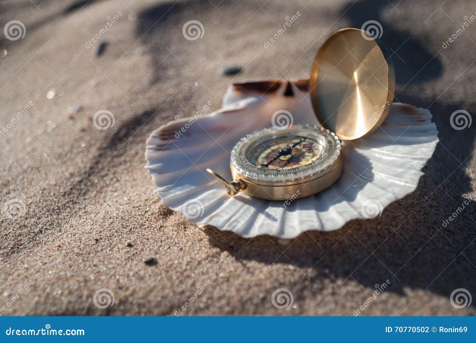 Compass in shell stock photo. Image of background, exploration - 70770502