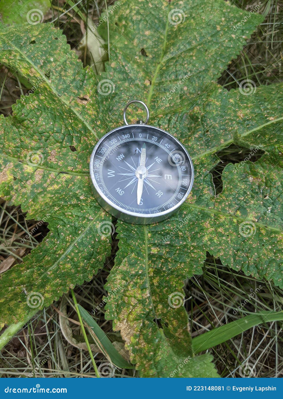 The Compass Shows the Direction on Your Path You Choose Yourself Stock ...