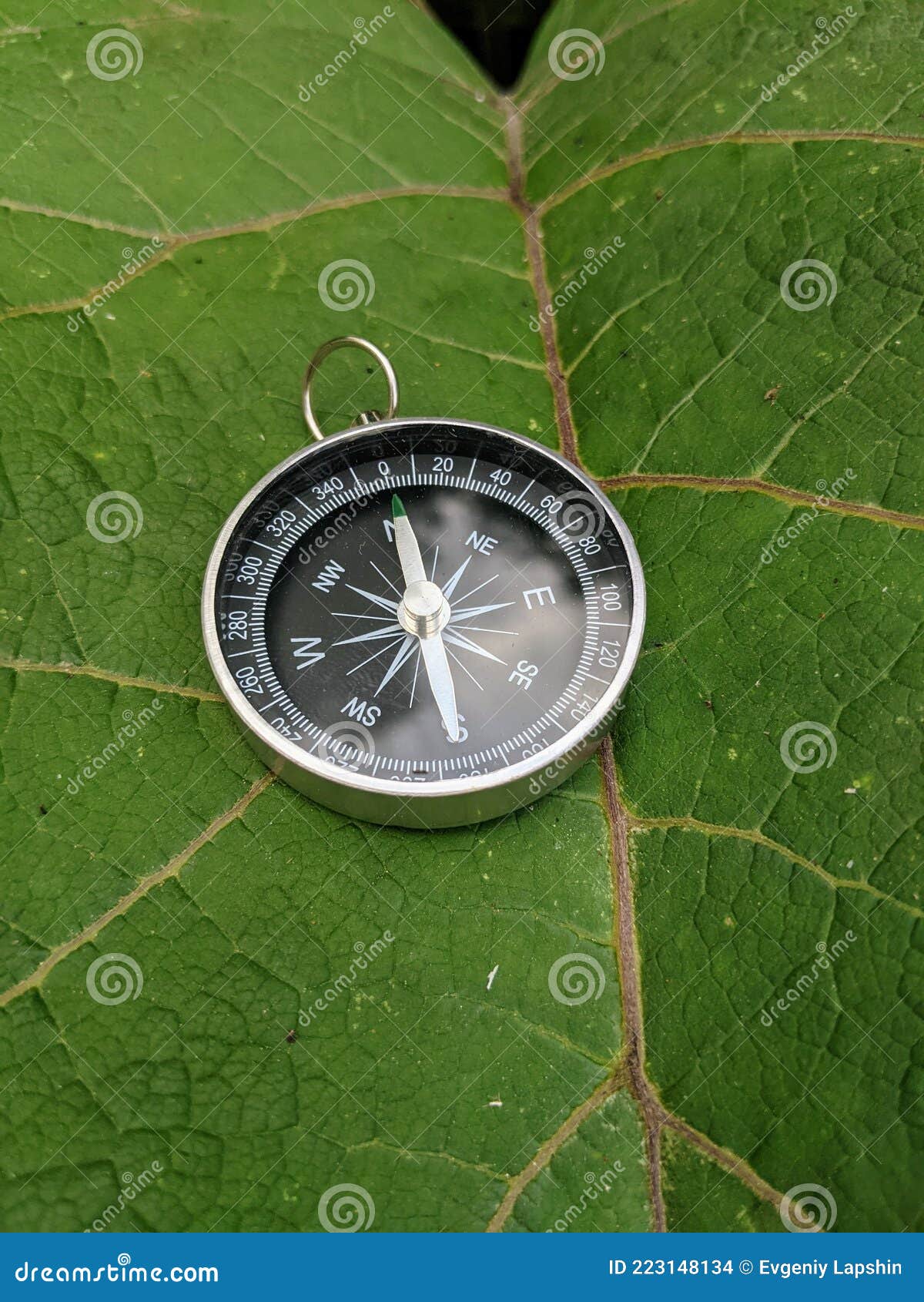 The Compass Shows the Direction on Your Path You Choose Yourself Stock ...