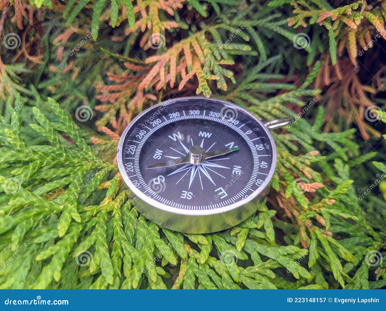 The Compass Shows the Direction on Your Path You Choose Yourself Stock ...