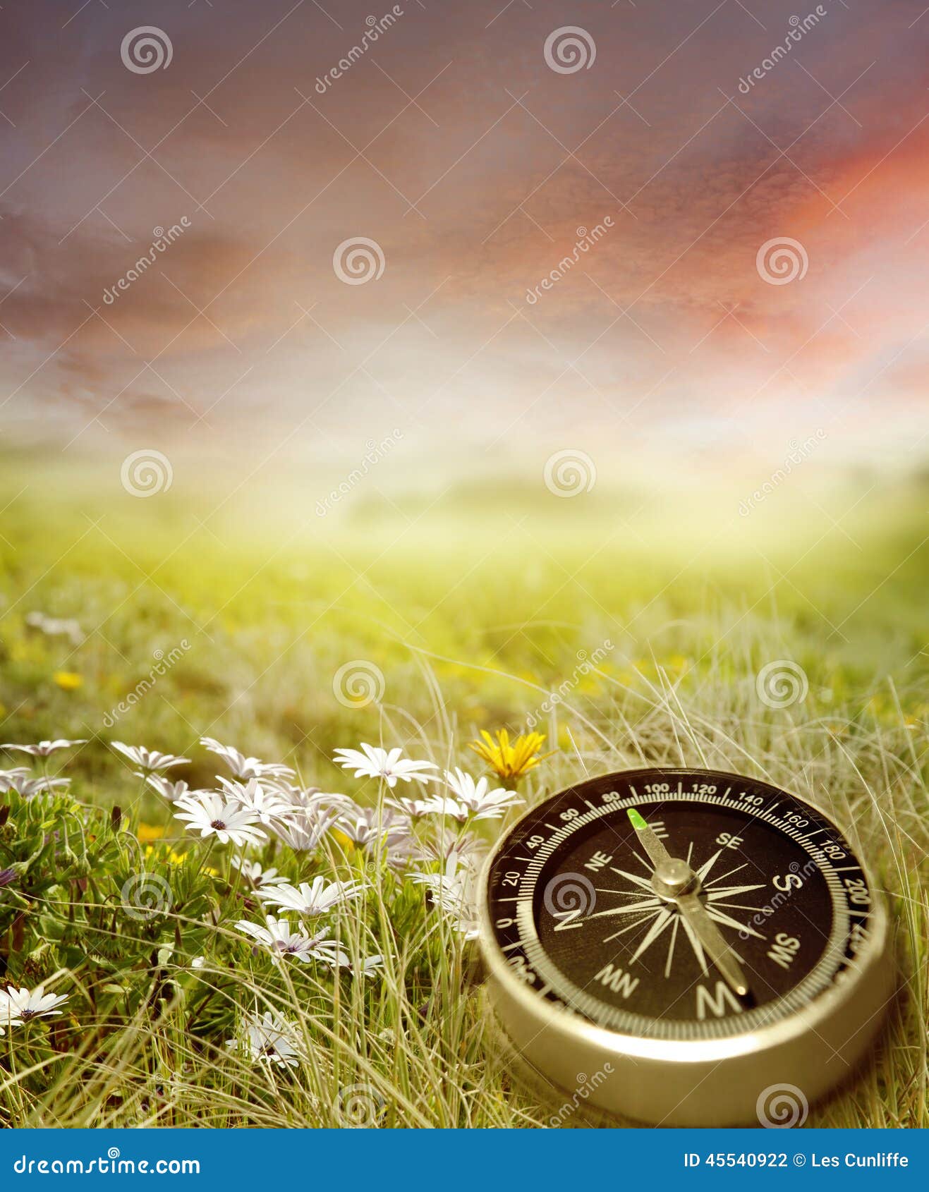 Compass stock photo. Image of season, explore, direction - 45540922