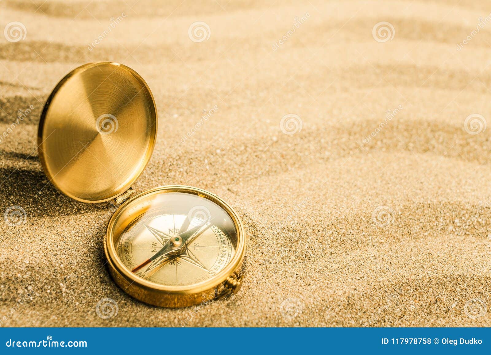 Compass stock photo. Image of tropical, nautilus, design - 117978758