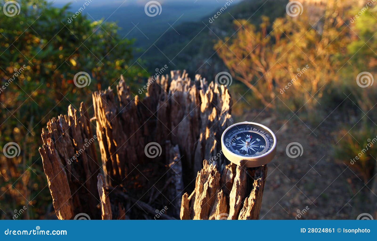 Compass on tree stump stock image. Image of exploration - 28024861