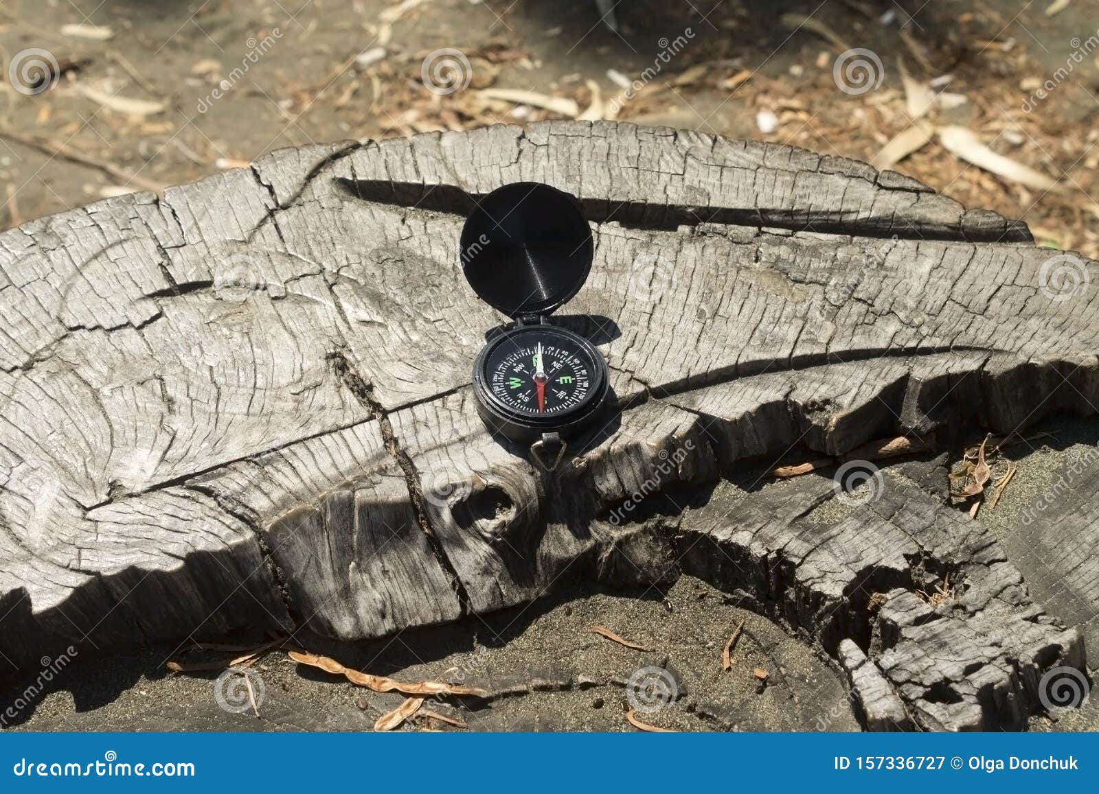 Compass on tree stump stock image. Image of black, orienteering - 157336727