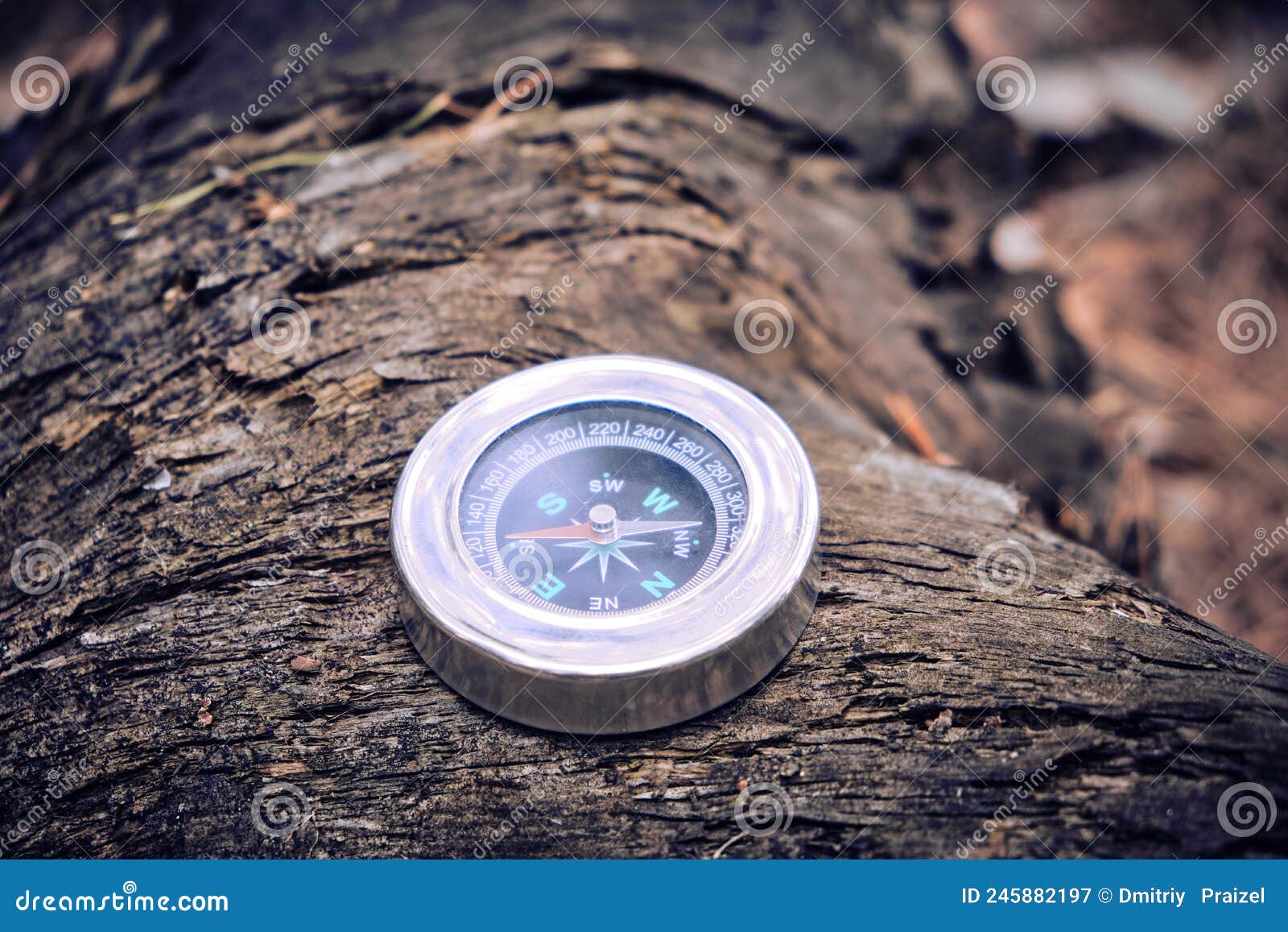 Compass on a Tree Stump in Forest.Travel and Recreation Wild Stock ...