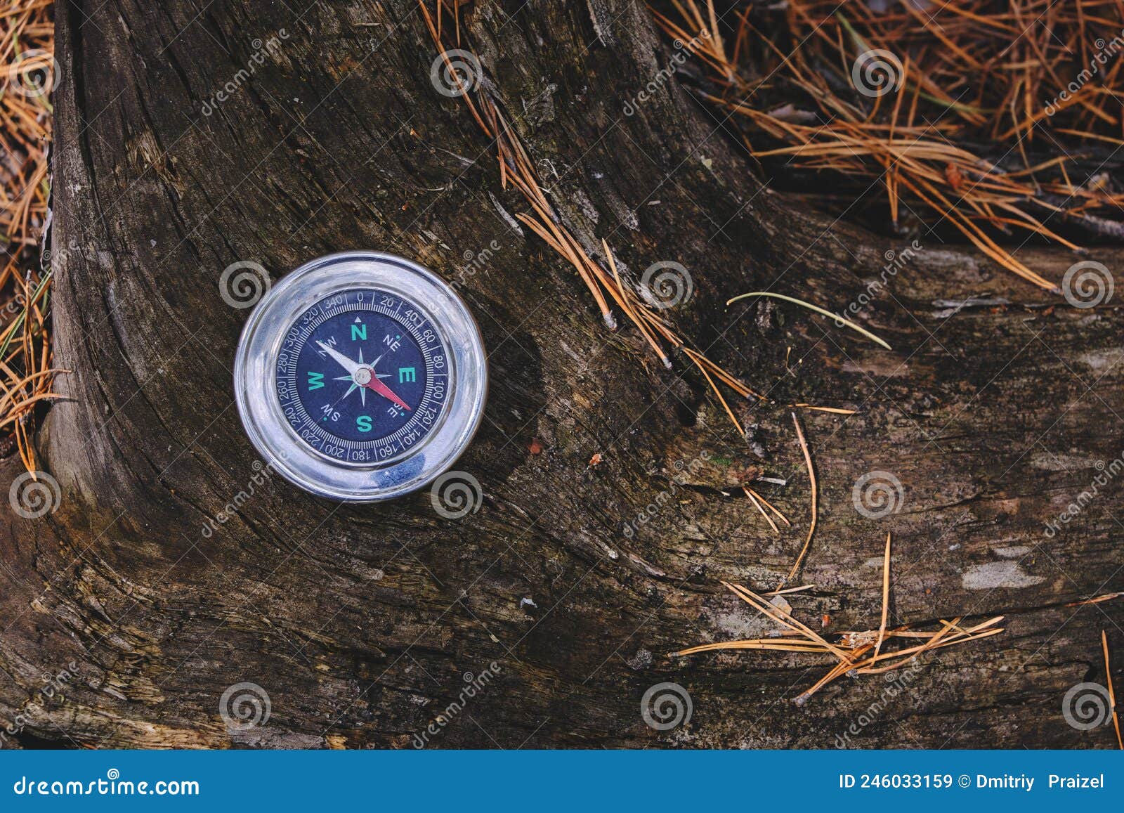Compass on a Tree Stump in Forest.Travel and Recreation Wild Stock ...