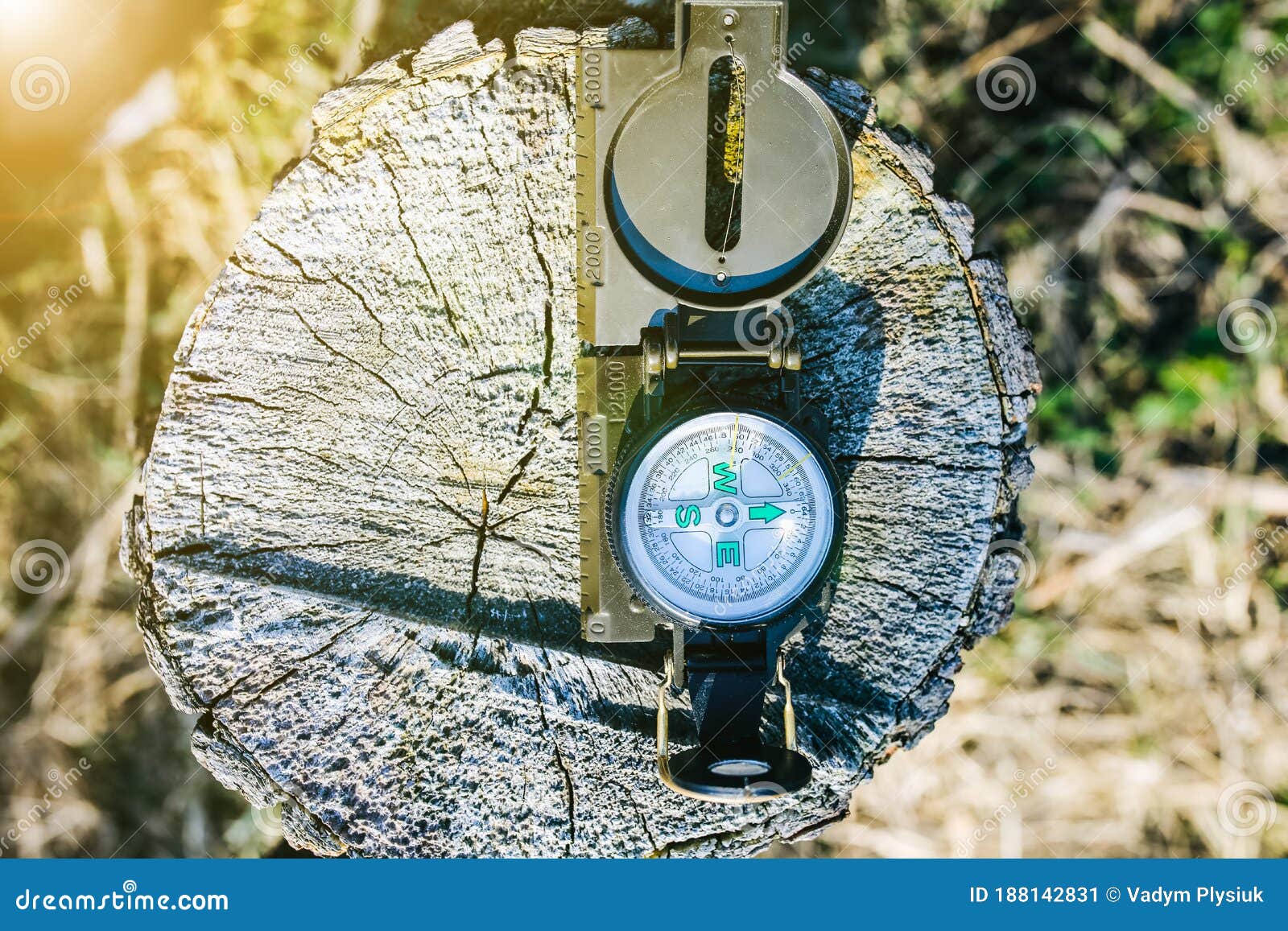 Compass on the Tree Stump. Tourist Things Outdoors Stock Image - Image ...