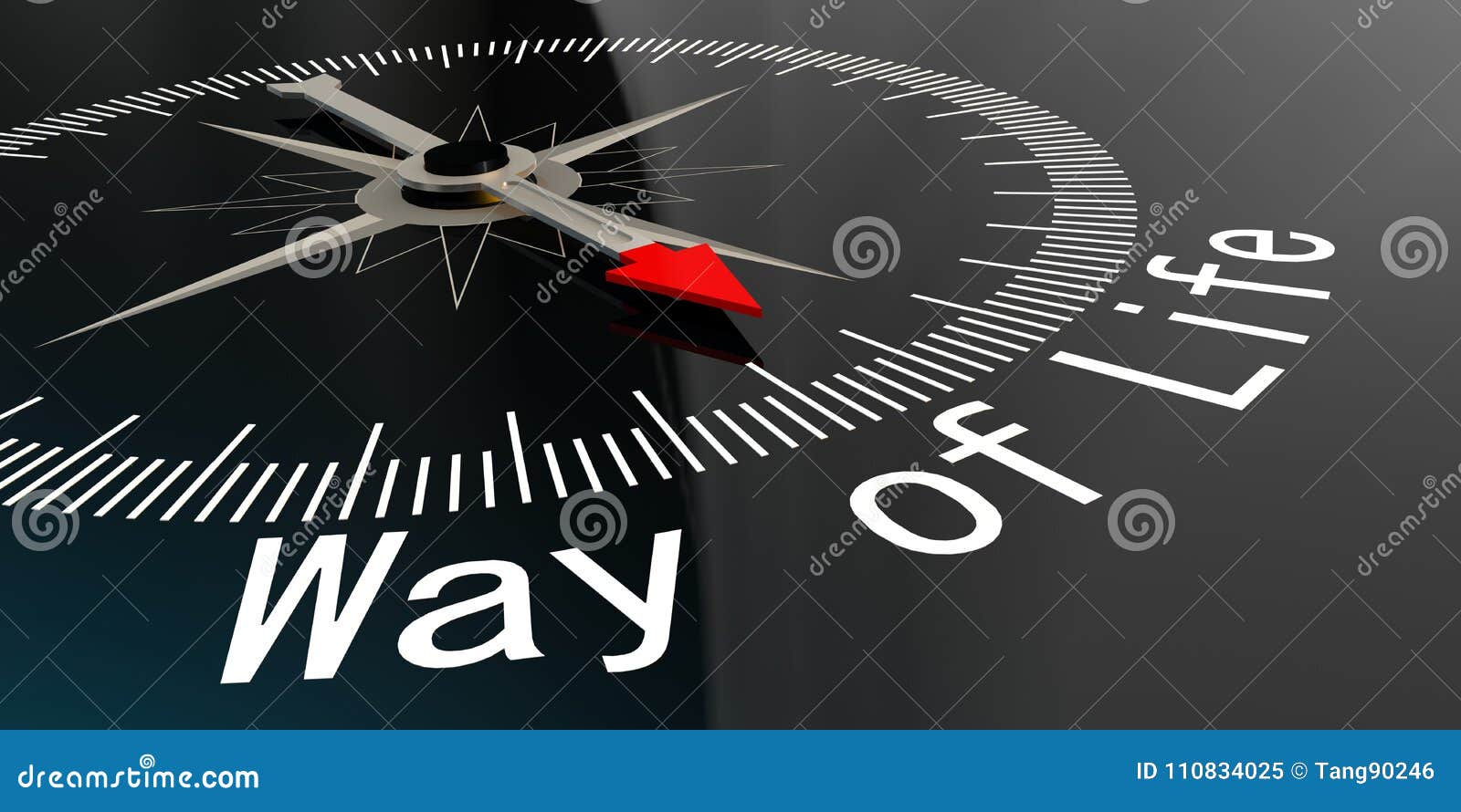 Compass Life Stock Illustrations – 3,290 Compass Life Stock ...