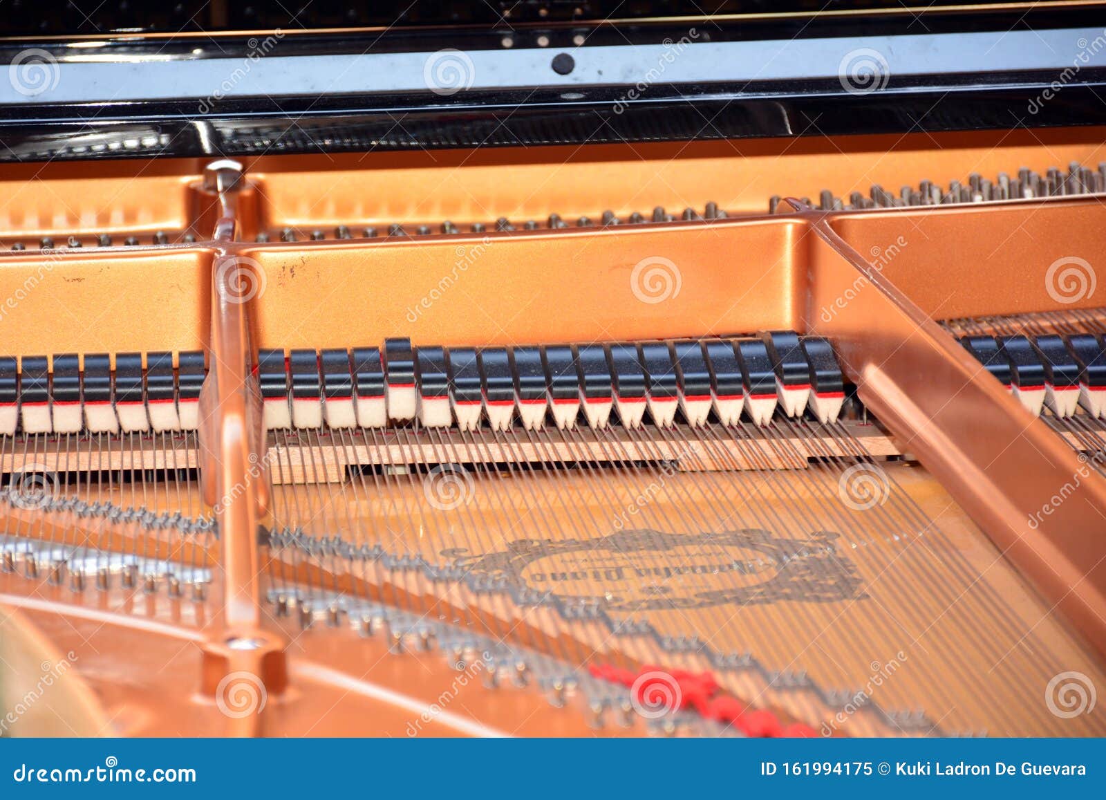 Compenents Inside a Grand Piano Stock Image - Image of acaaea ...