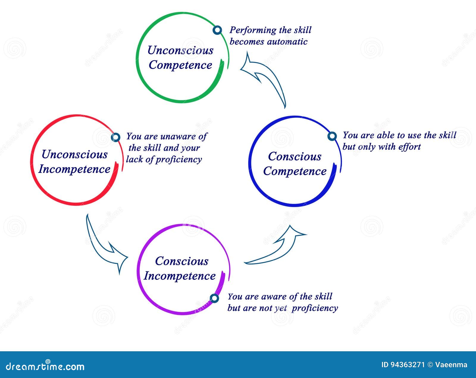From Unconscious Incompetence To Unconscious Competence Royalty-Free ...