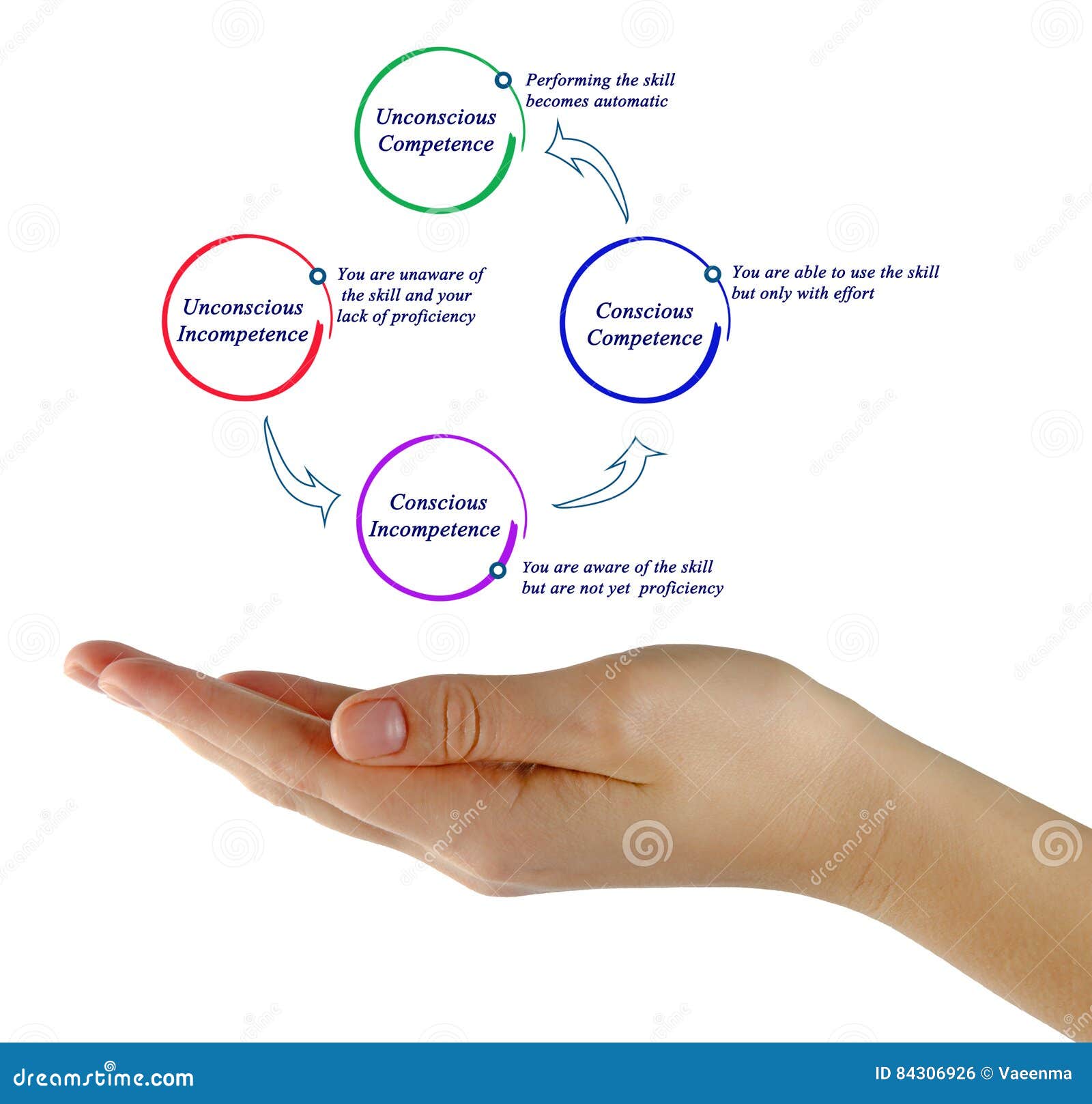 Competence and Incompetence Stock Photo - Image of incompetence ...