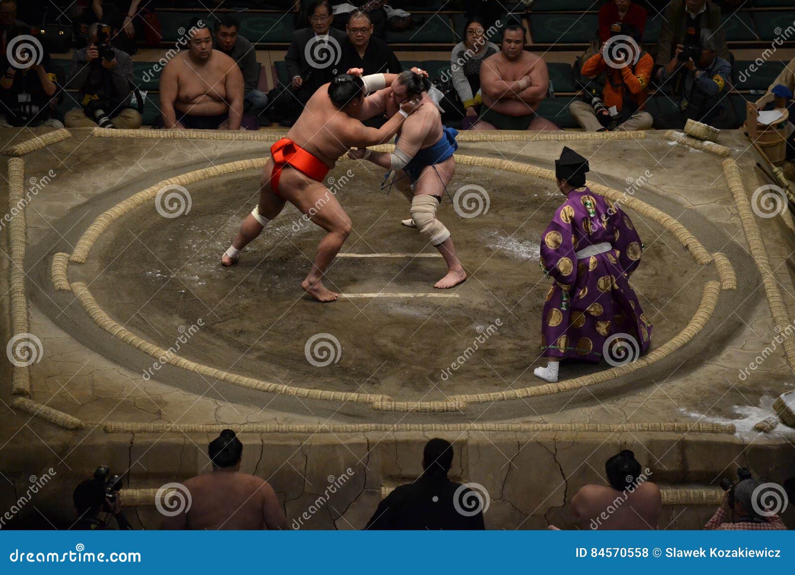 Competencia del sumo foto de archivo editorial. Imagen de luchadores ...