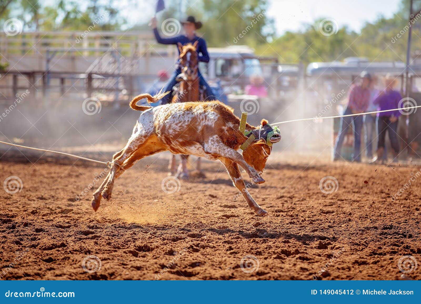 Competencia El Roping De Becerro En Un Rodeo Australiano Foto de ...