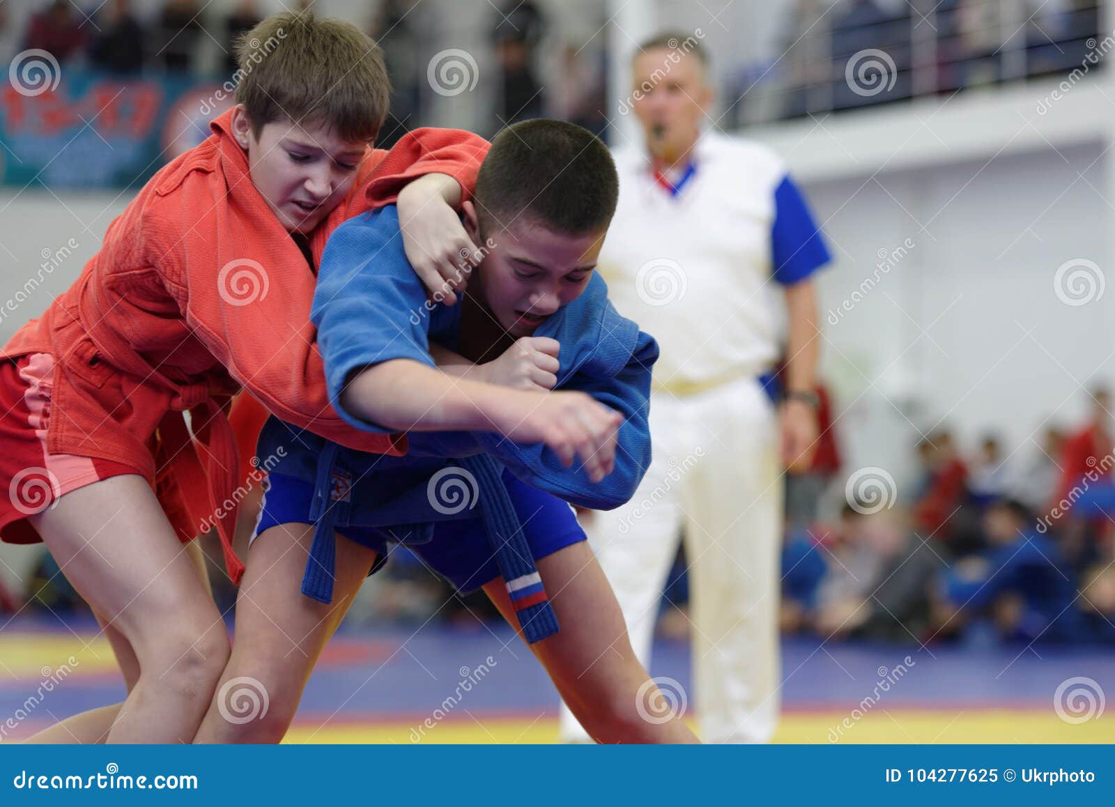 Competencia En El Zambo Que Lucha Imagen editorial - Imagen de combate ...