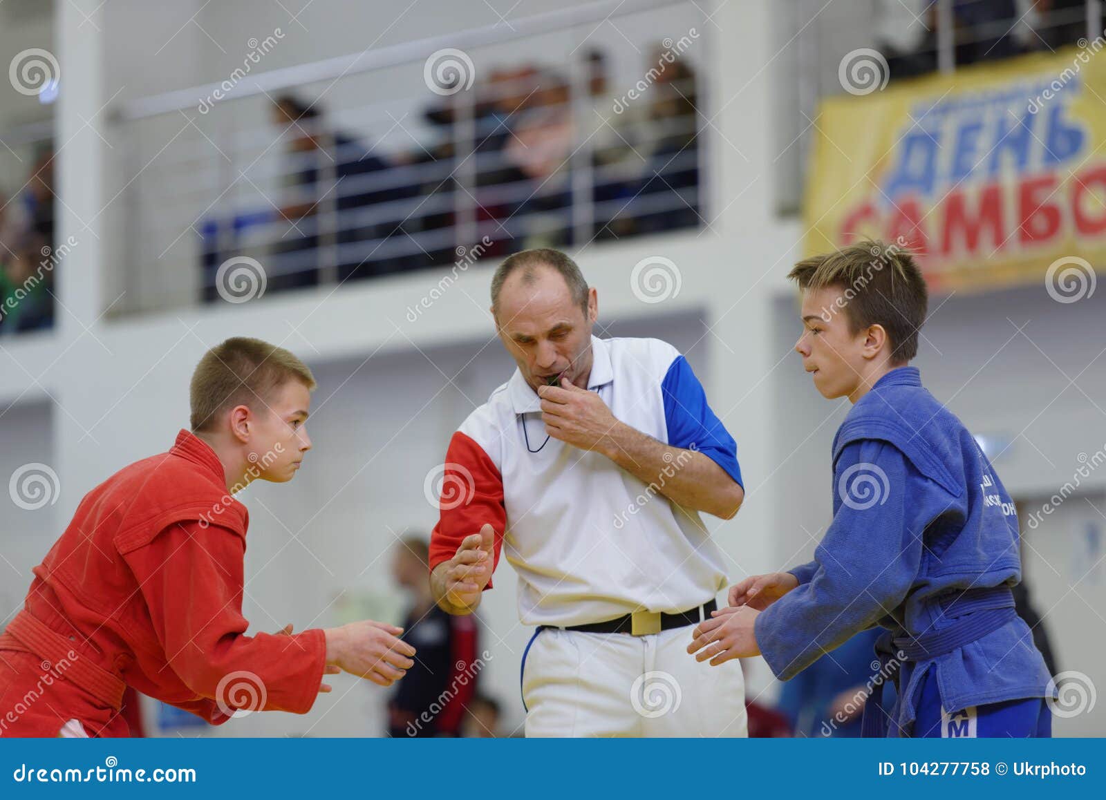 Competencia En El Zambo Que Lucha Foto de archivo editorial - Imagen de ...