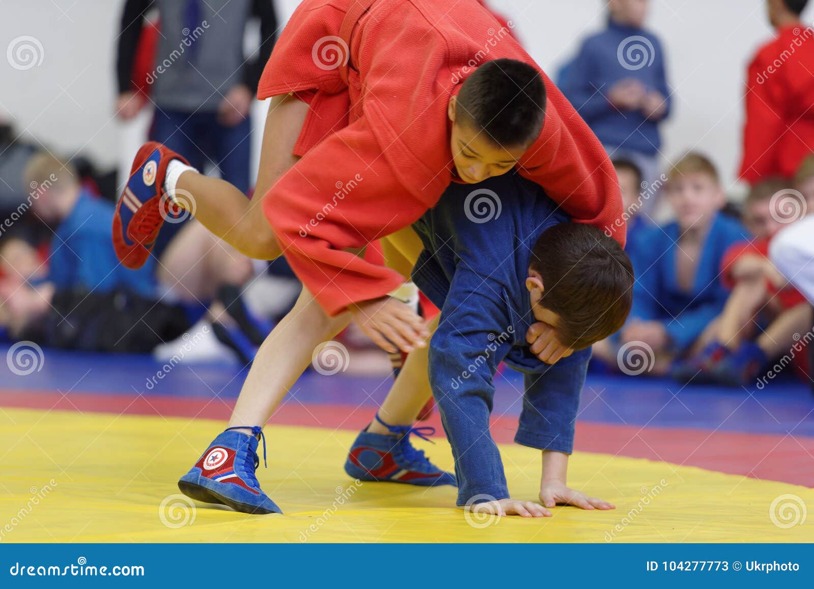 Competencia En El Zambo Que Lucha Foto de archivo editorial - Imagen de ...